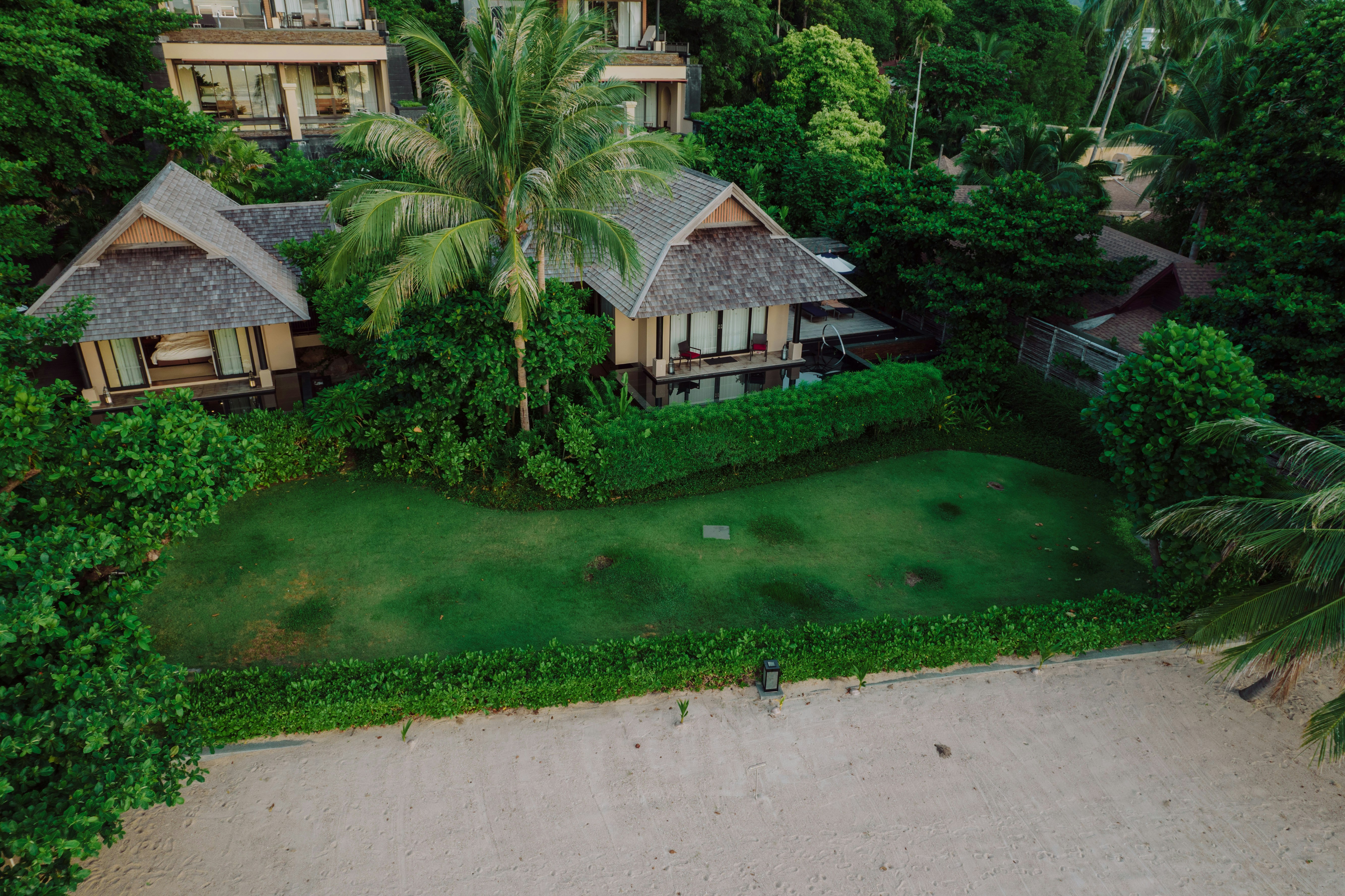 Lush greenery surrounds charming bungalows nestled in a tranquil tropical setting. The scene evokes a sense of peace and relaxation.