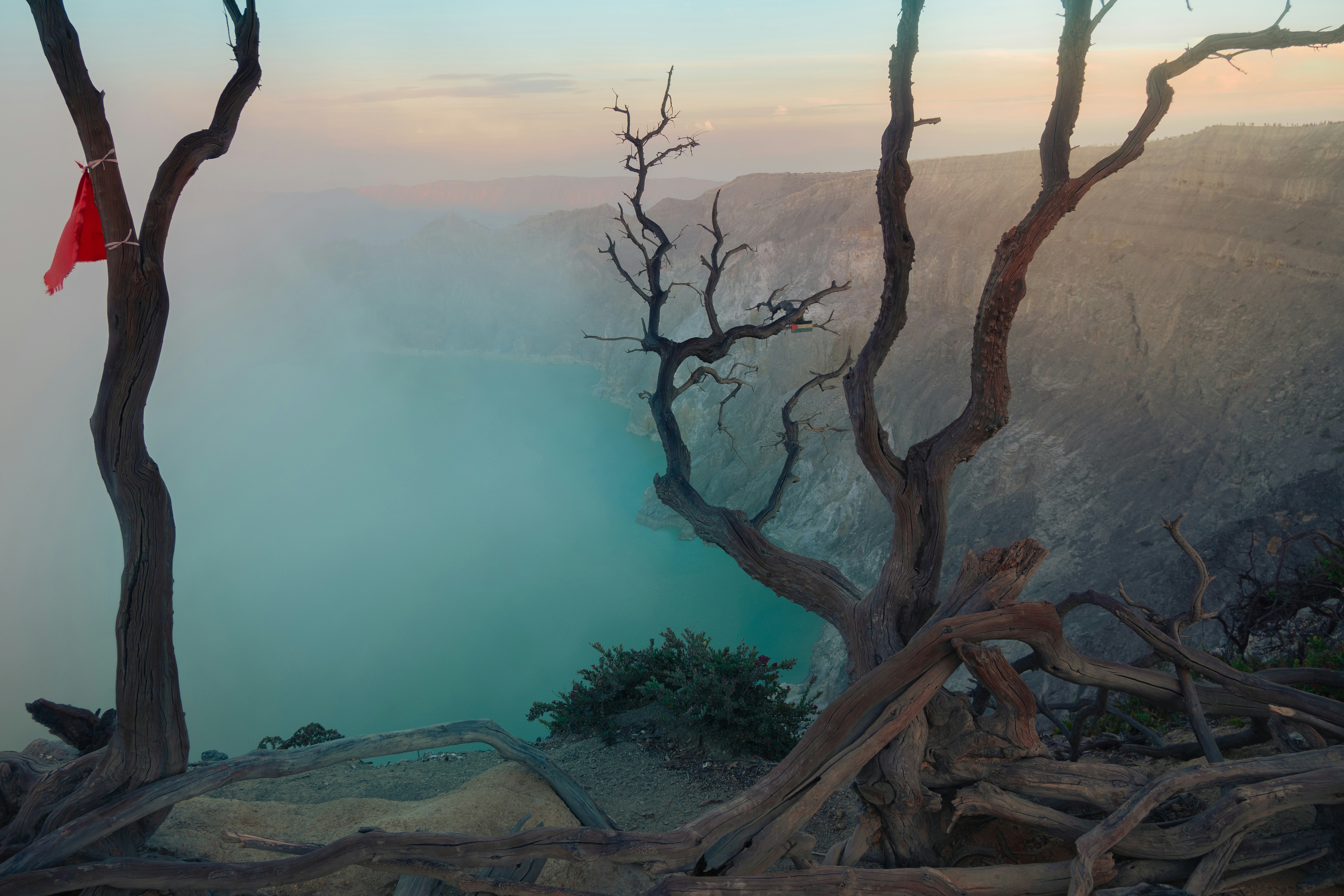 Cerulean Caldera: Weathered Trees Framing a Quiet Crater Lake