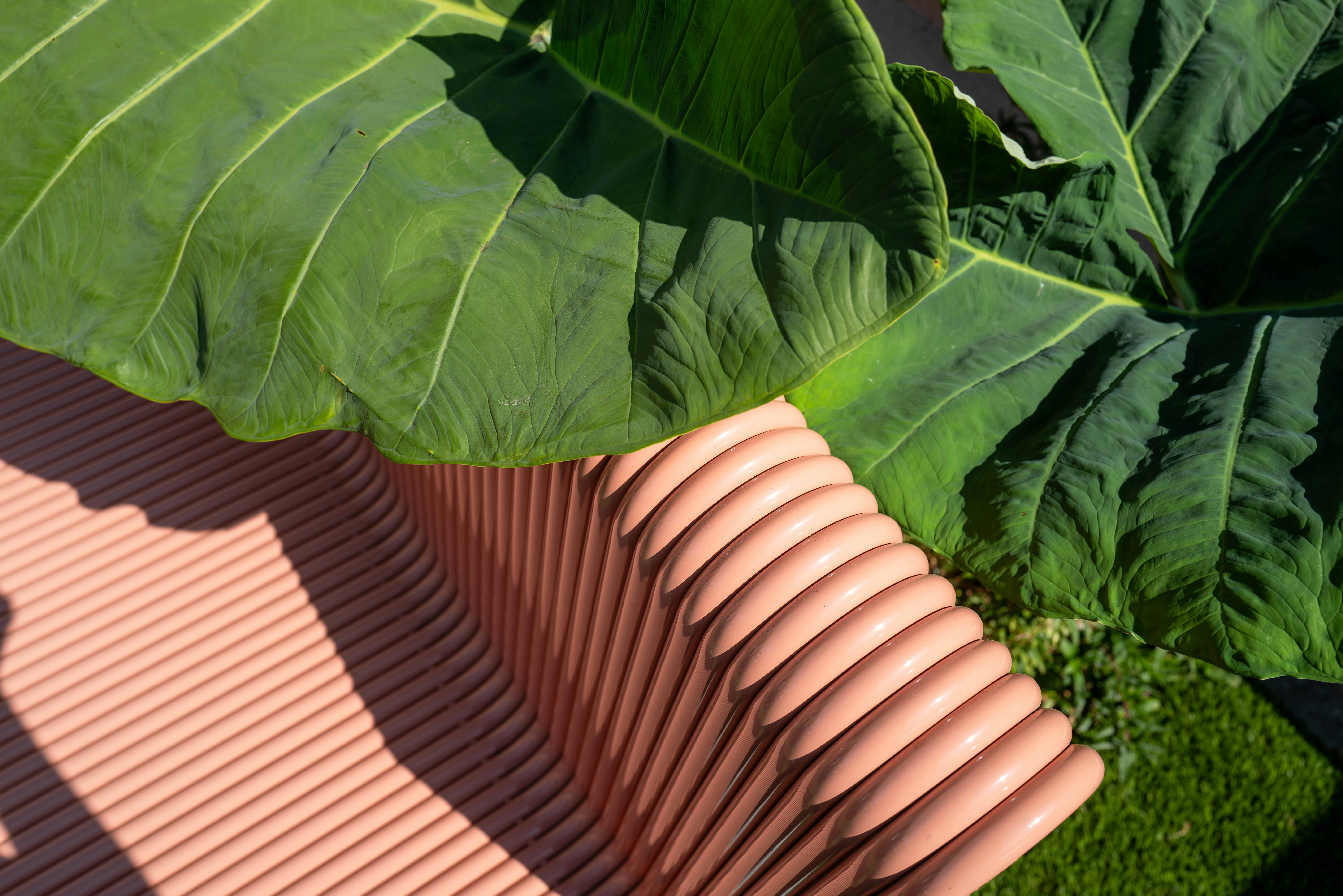 Rift in Terra: Folded Terracotta and Broadleaf Green