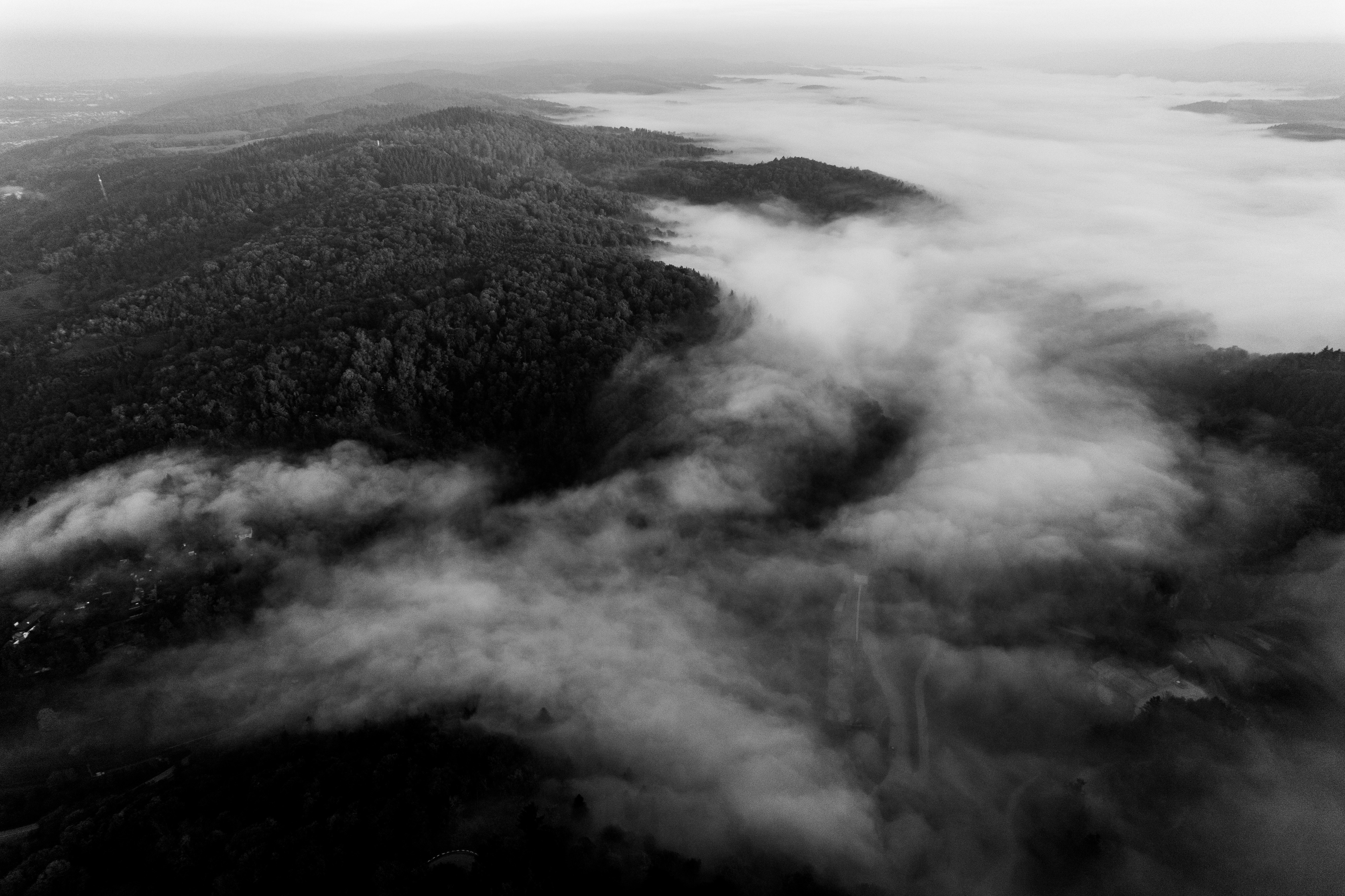 A black and white aerial view of a fog-covered forested landscape, with mist rolling over hills and valleys. The dense woodland is partially obscured by the low-lying clouds, creating a dramatic and atmospheric scene. The grayscale tones emphasize the contrast between the forest and the thick fog, capturing the tranquil and mysterious beauty of nature.
