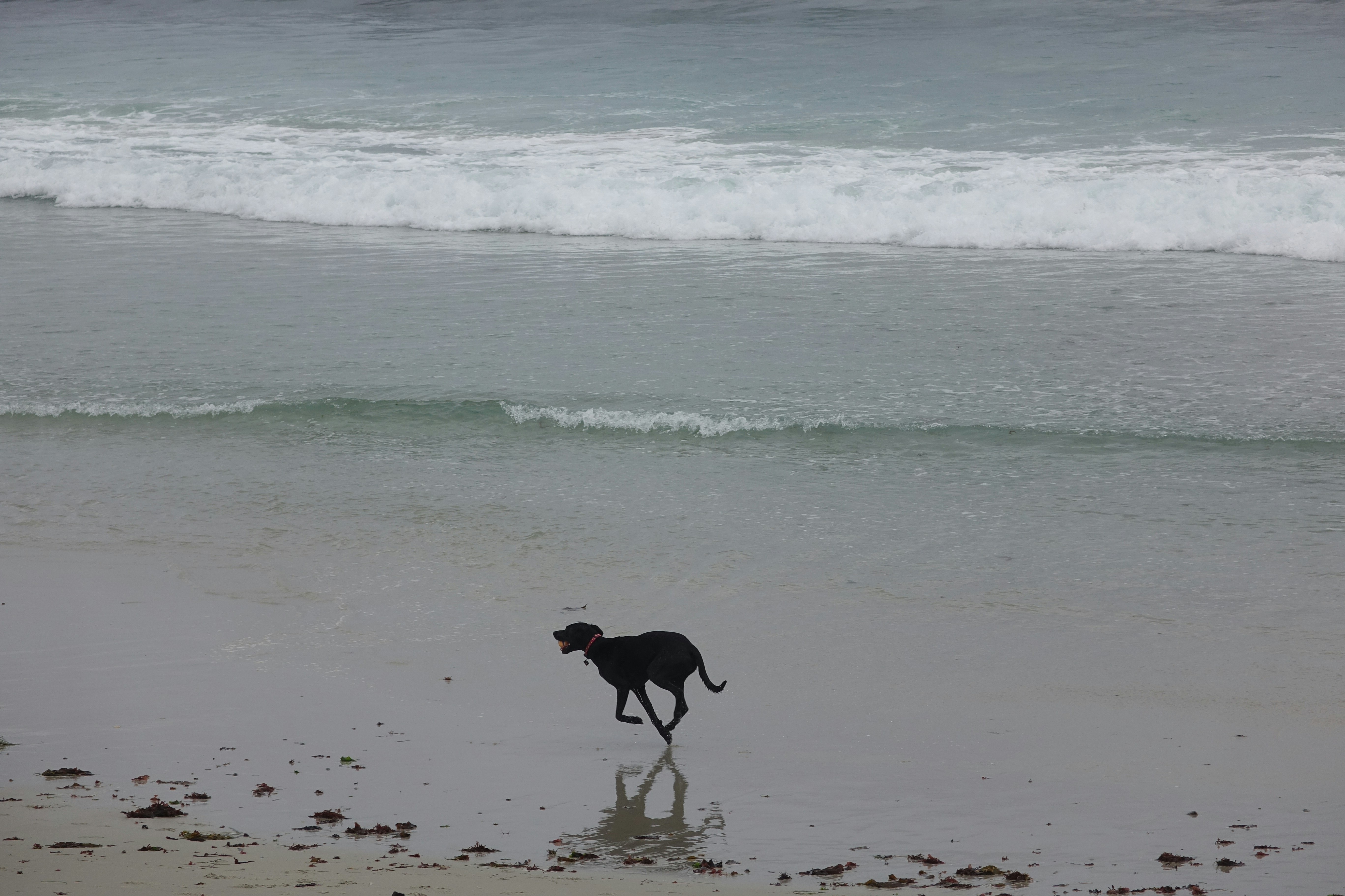 Photo by Arthur Tseng with Sony Cyber-shot RX10 II