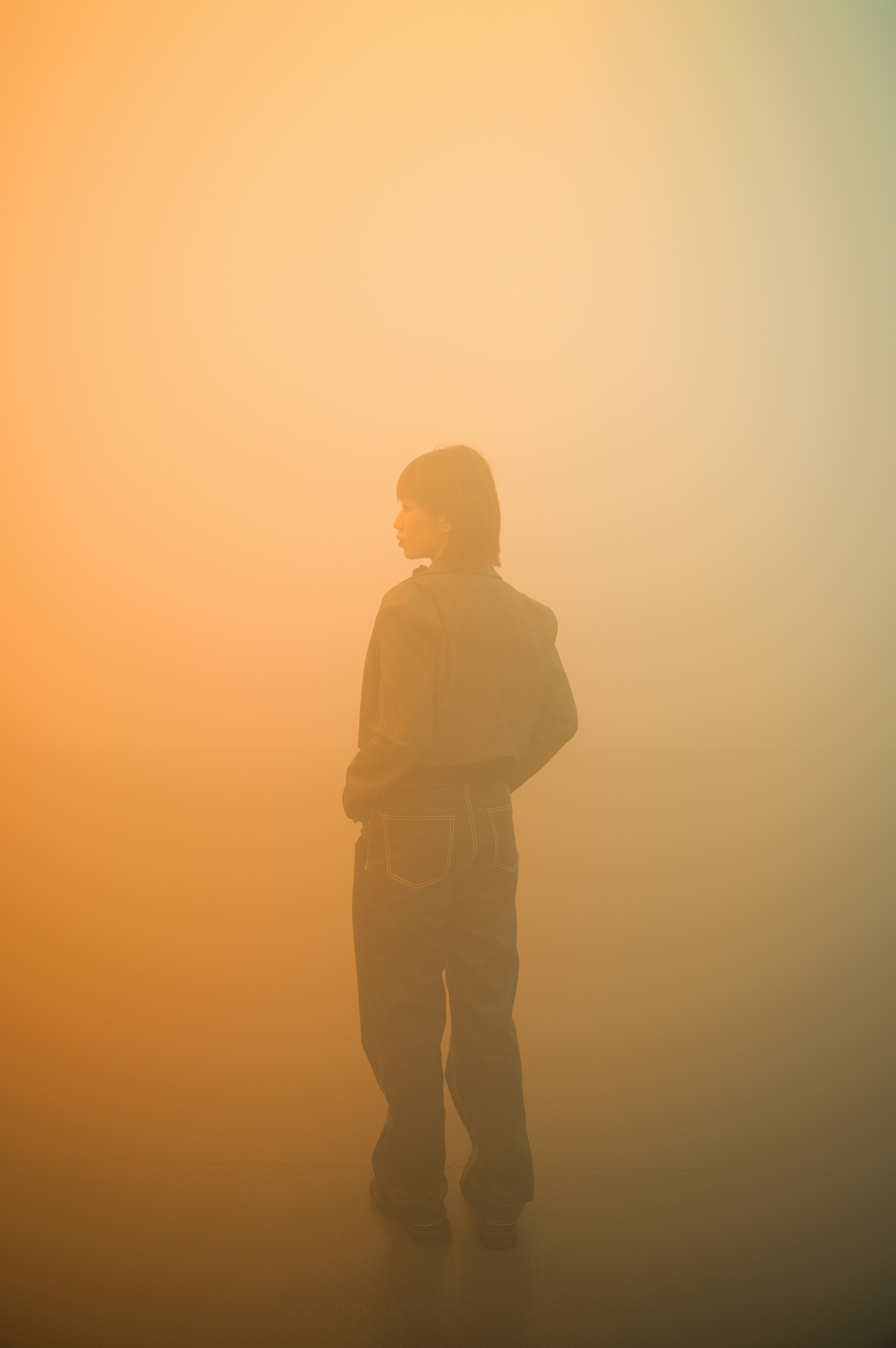 A person standing in a foggy area with their back to the camera photo ...