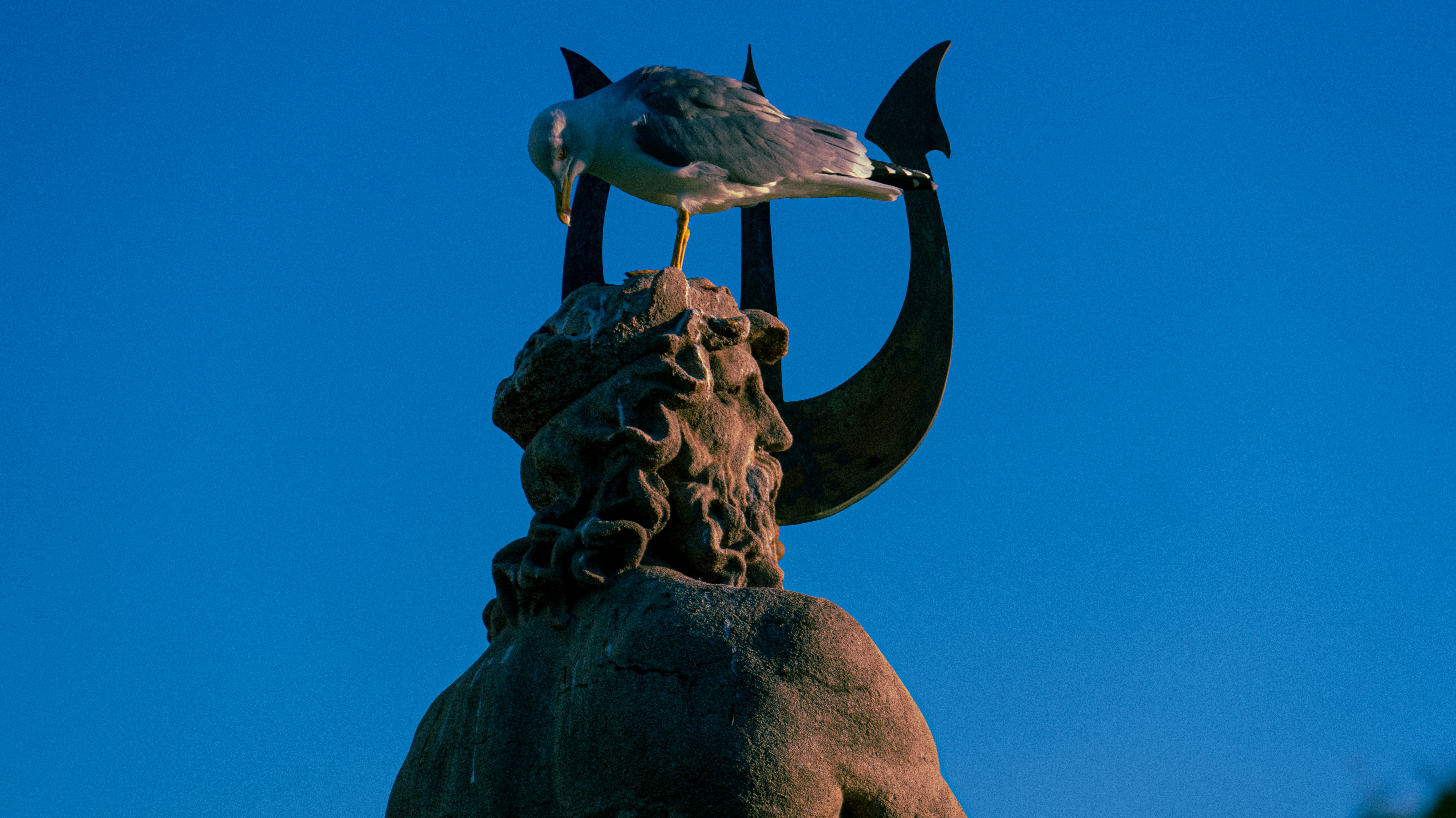 Seagull at the Crown: A Weathered Statue Under a Brilliant Blue Sky