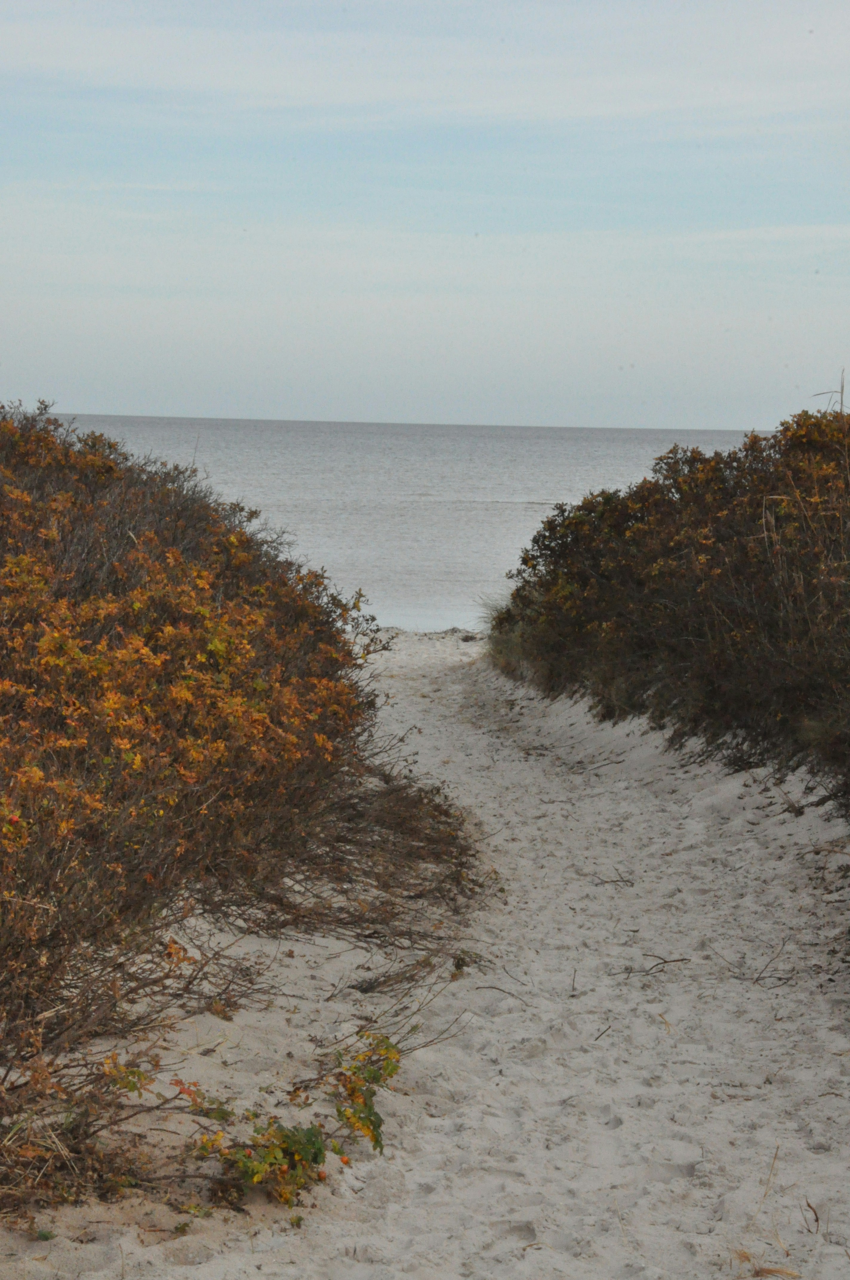 Autumn Dune Corridor to the Quiet Sea