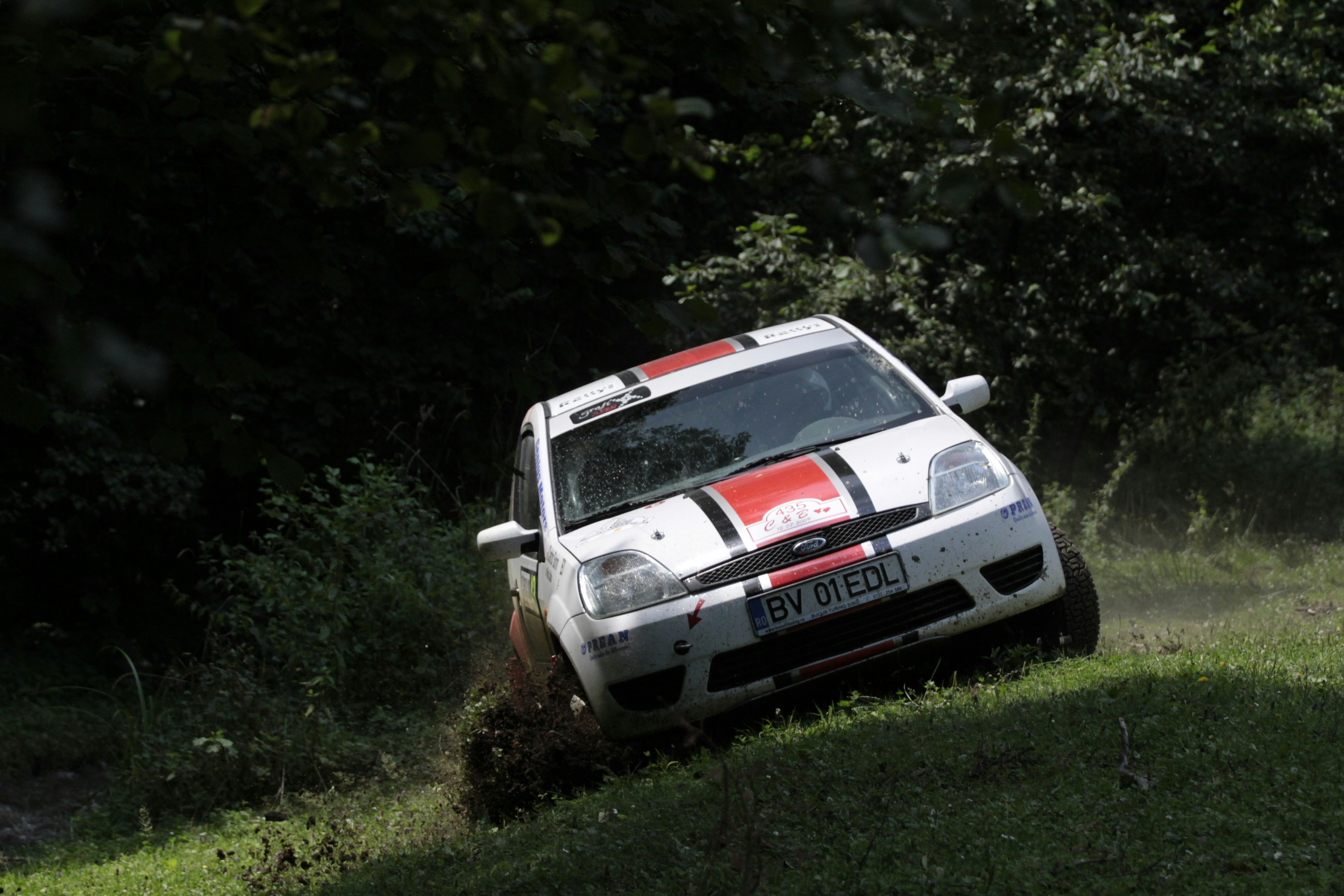 White rally car with red and black stripes navigating a grassy slope.