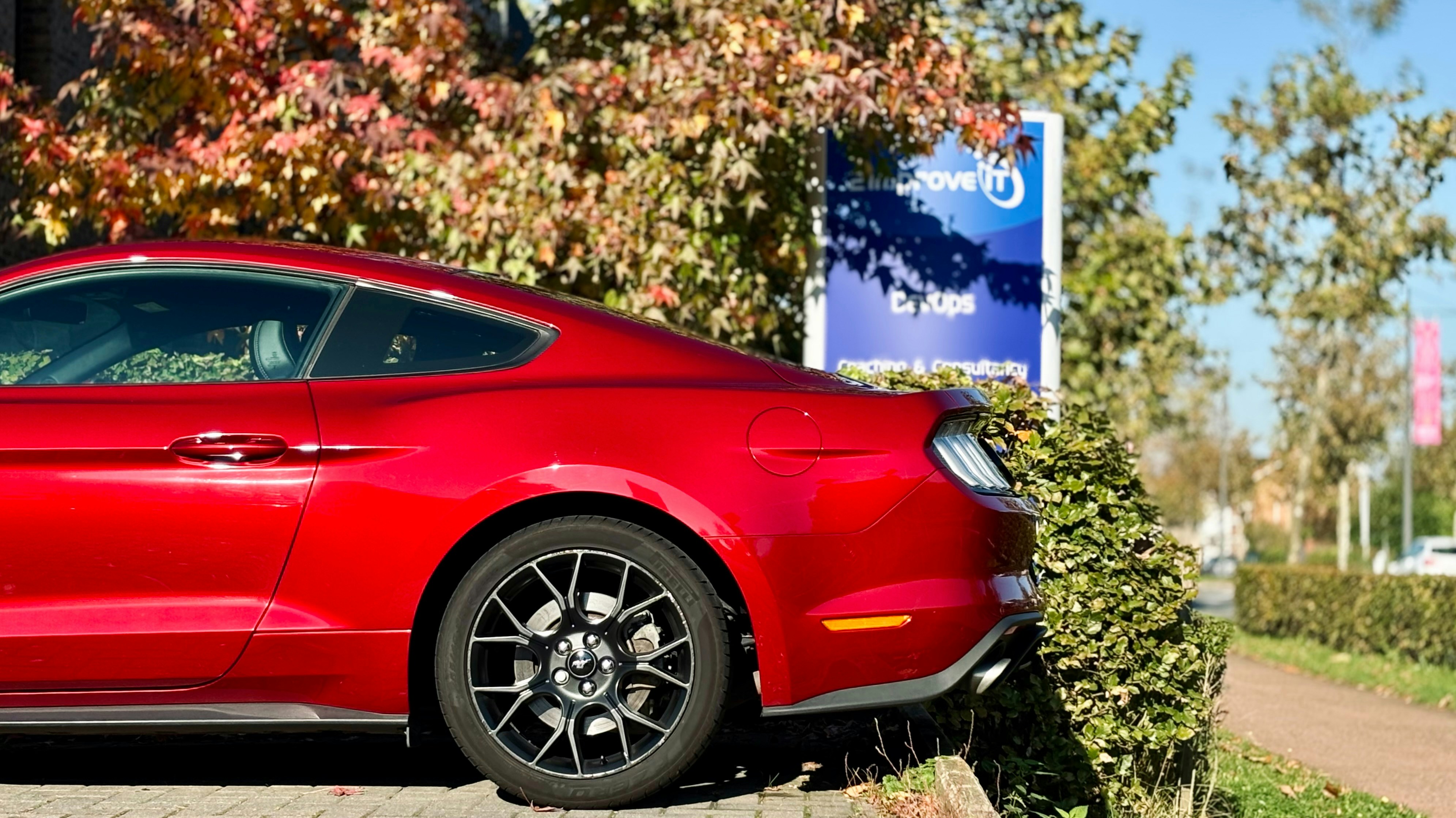 Red Mustang at the Edge: A Quiet Car Show by the Sidewalk