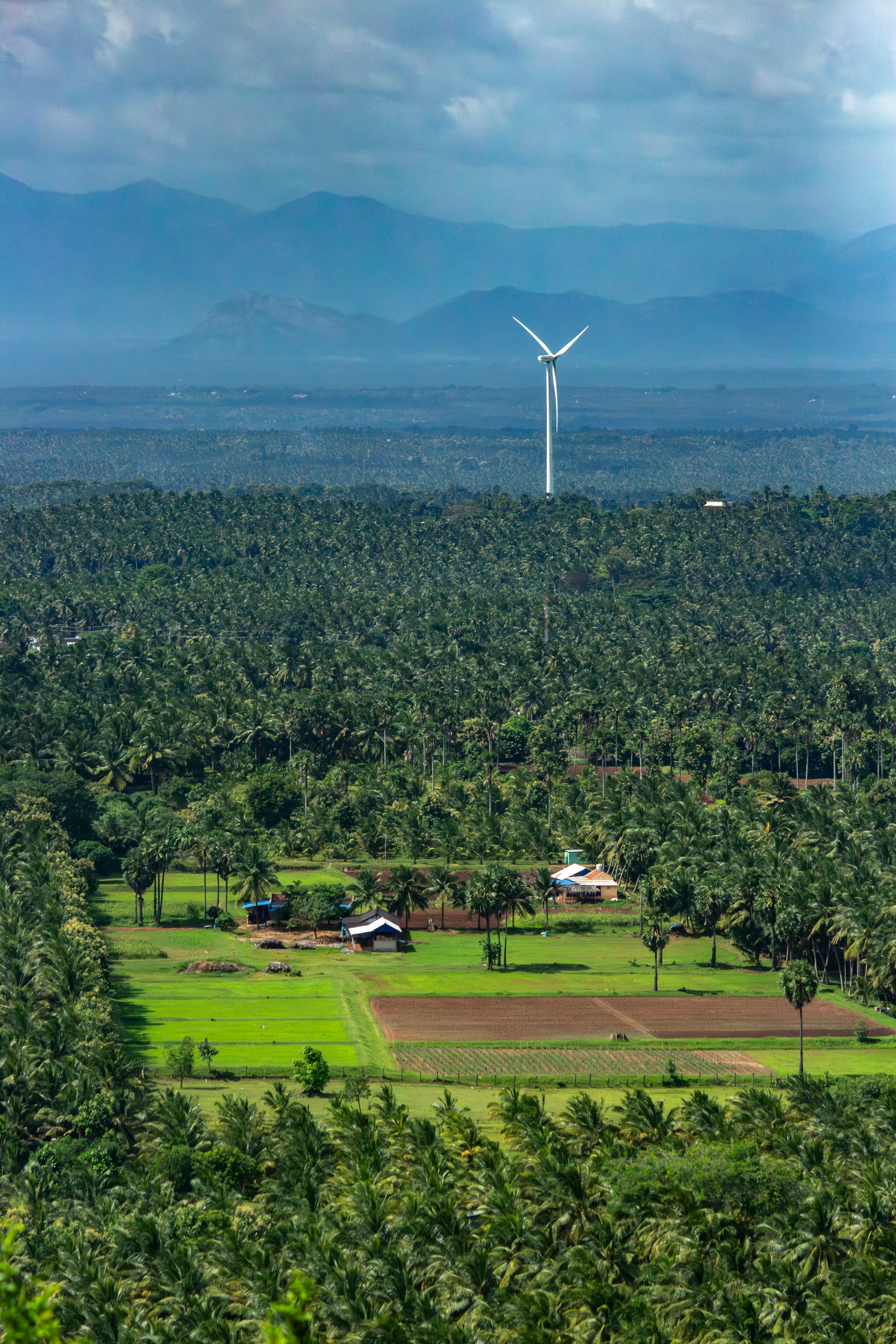 Whispering Turbines Above a Tiled Tranquil Plain