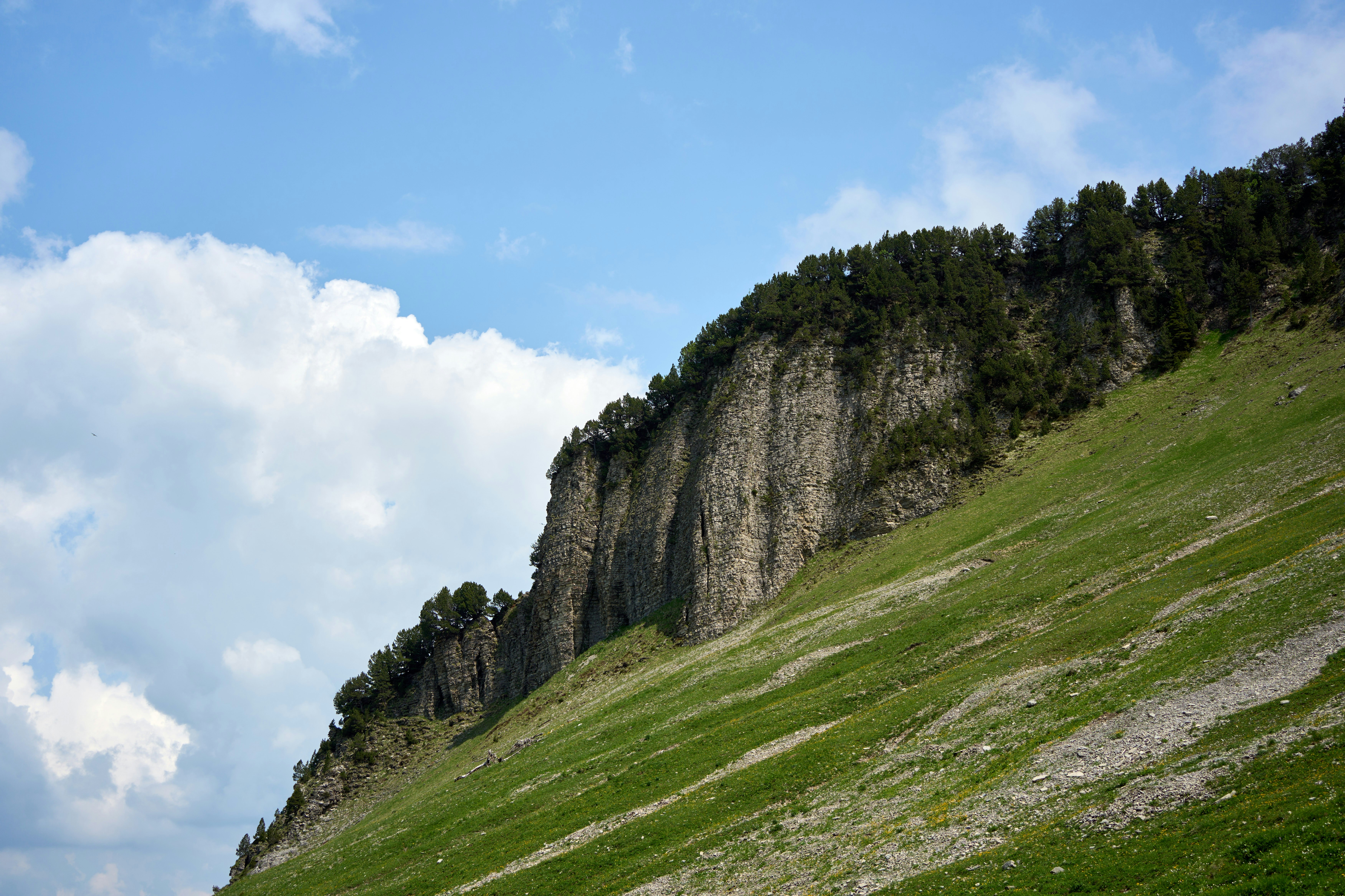 Photo by Wolfgang Hasselmann with Sony Alpha 7 IV