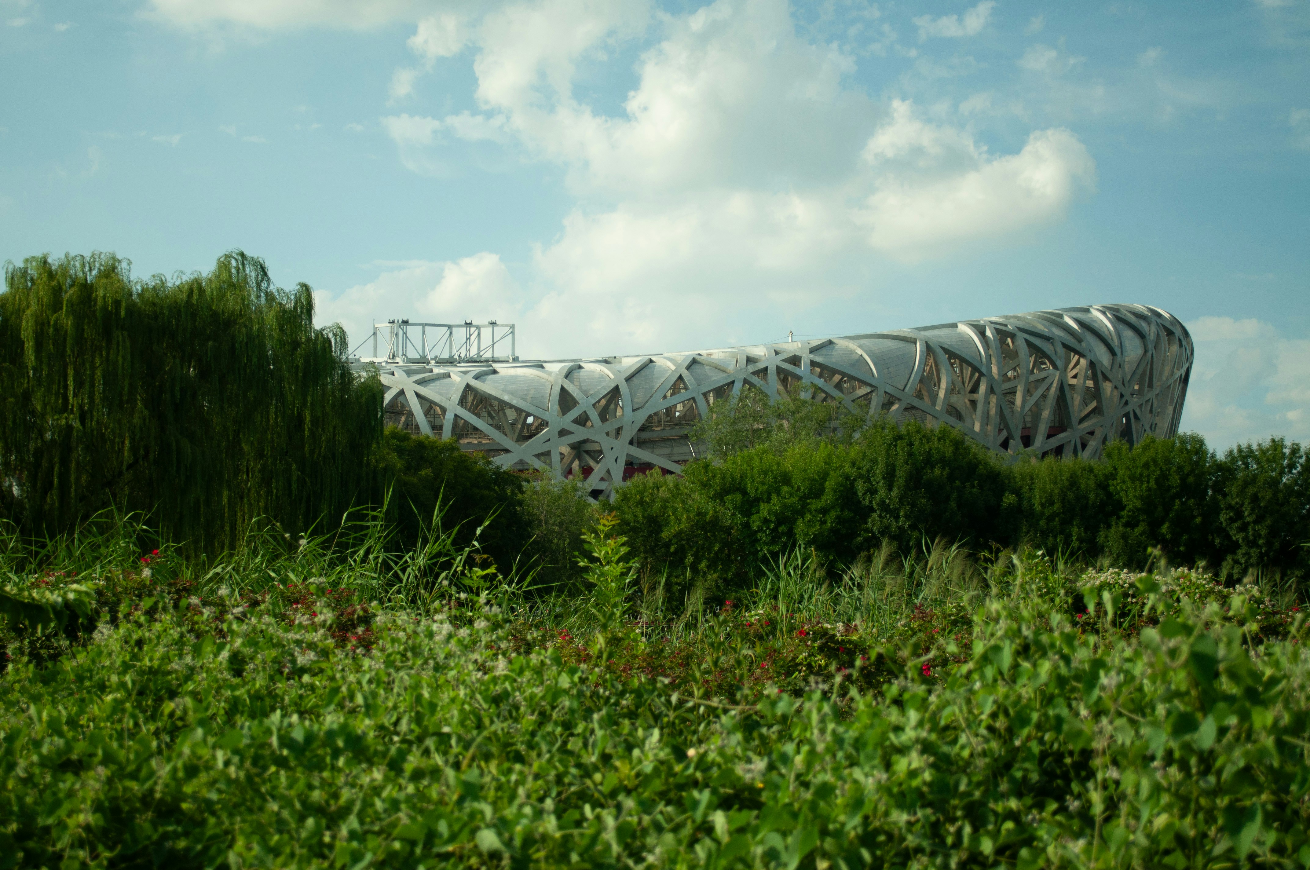 Photo by Fabien Hairy with Nikon D5000