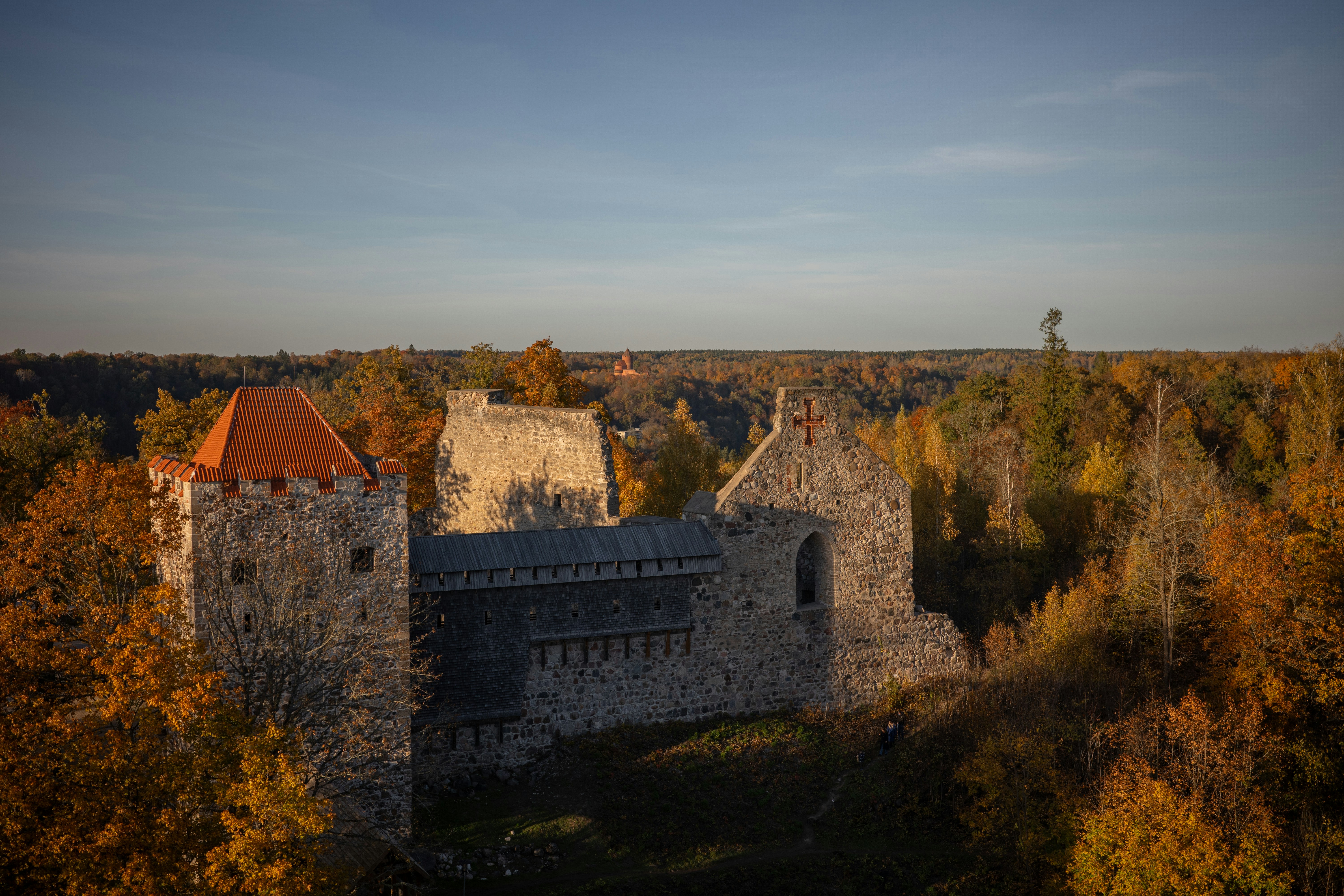An aerial view of a castle surrounded by trees