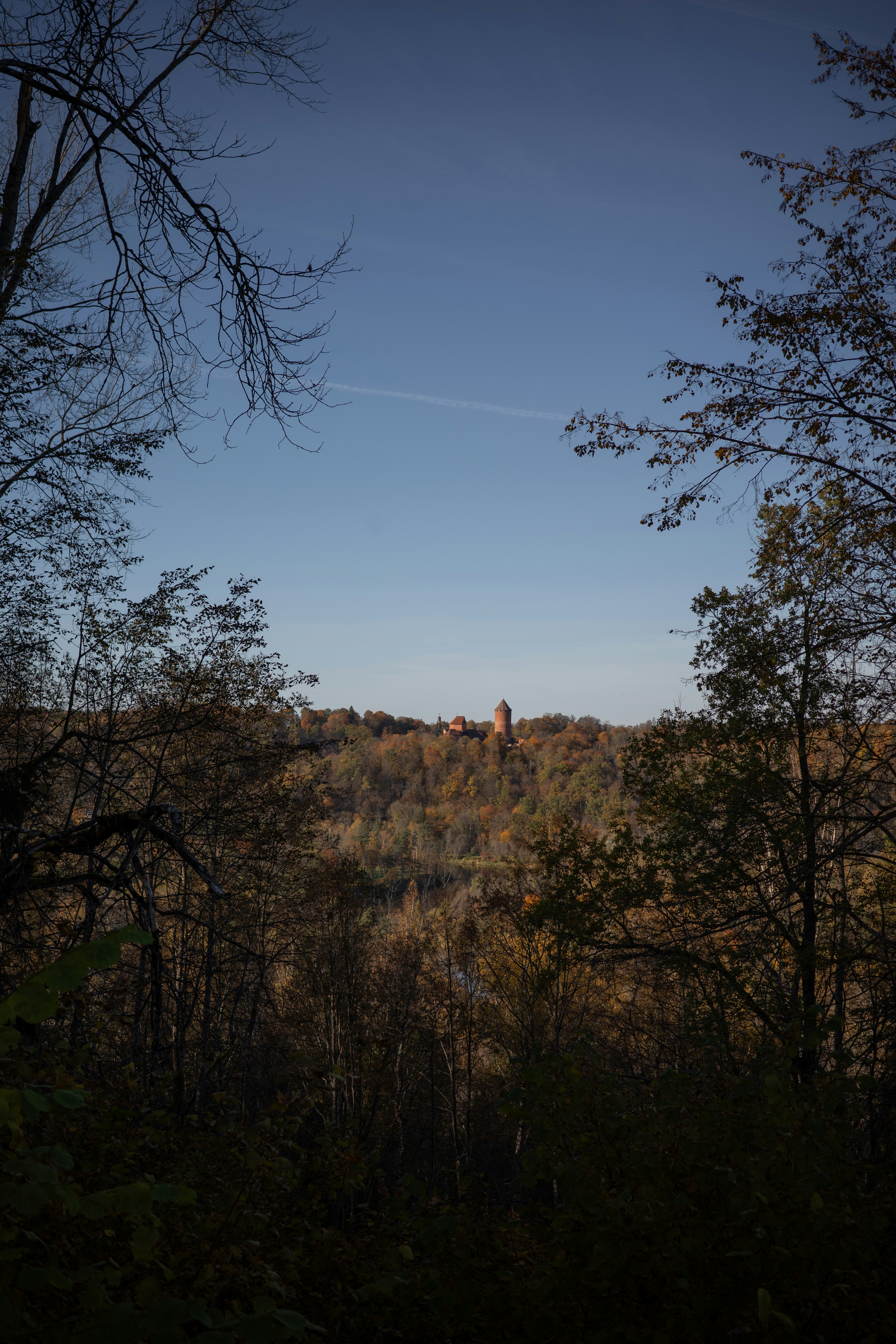 Autumn Citadel on the Hill: Valley View Through Fading Foliage