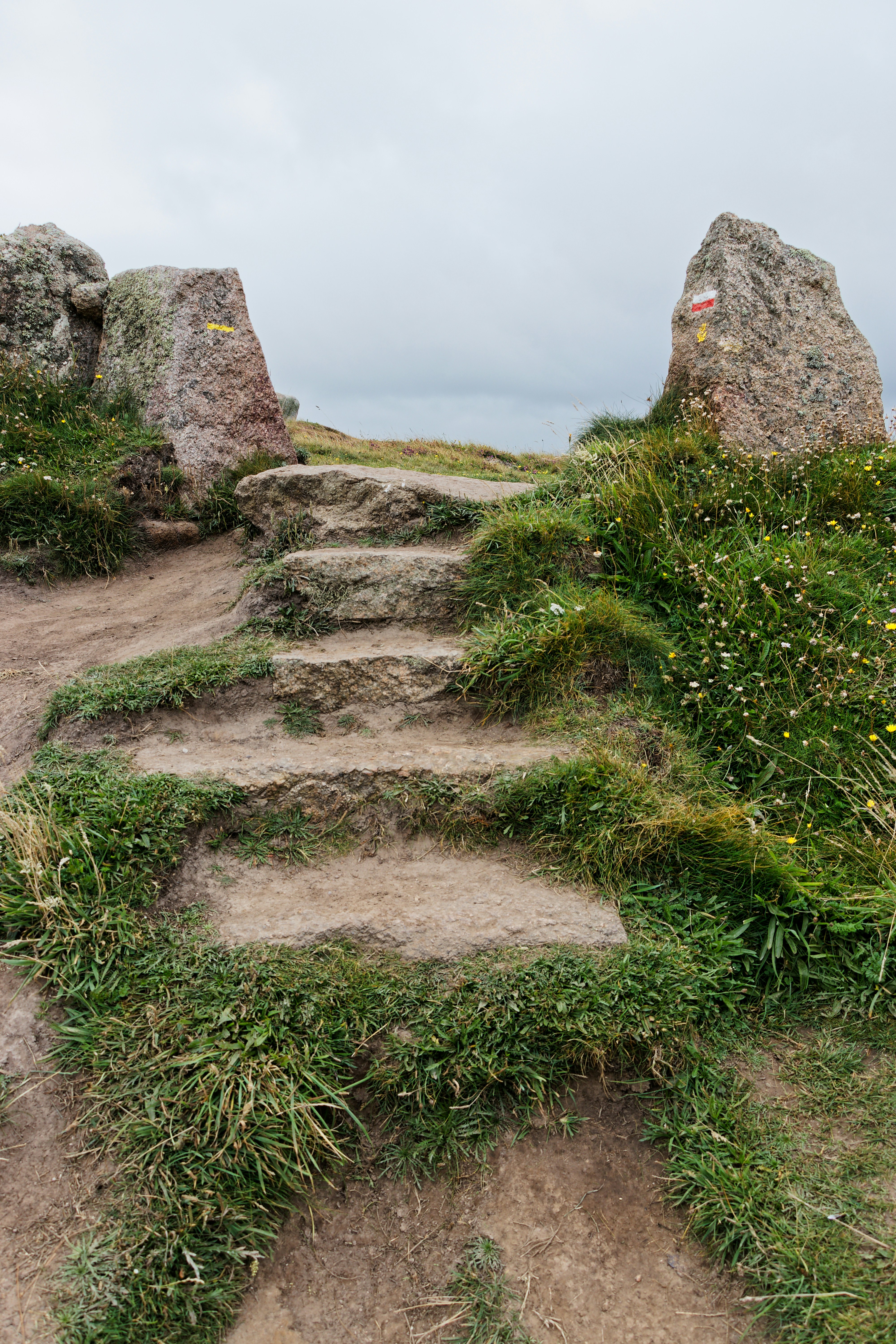 Grass-Trimmed Stone Staircase Framing a Weathered Trail Toward the Open Sky