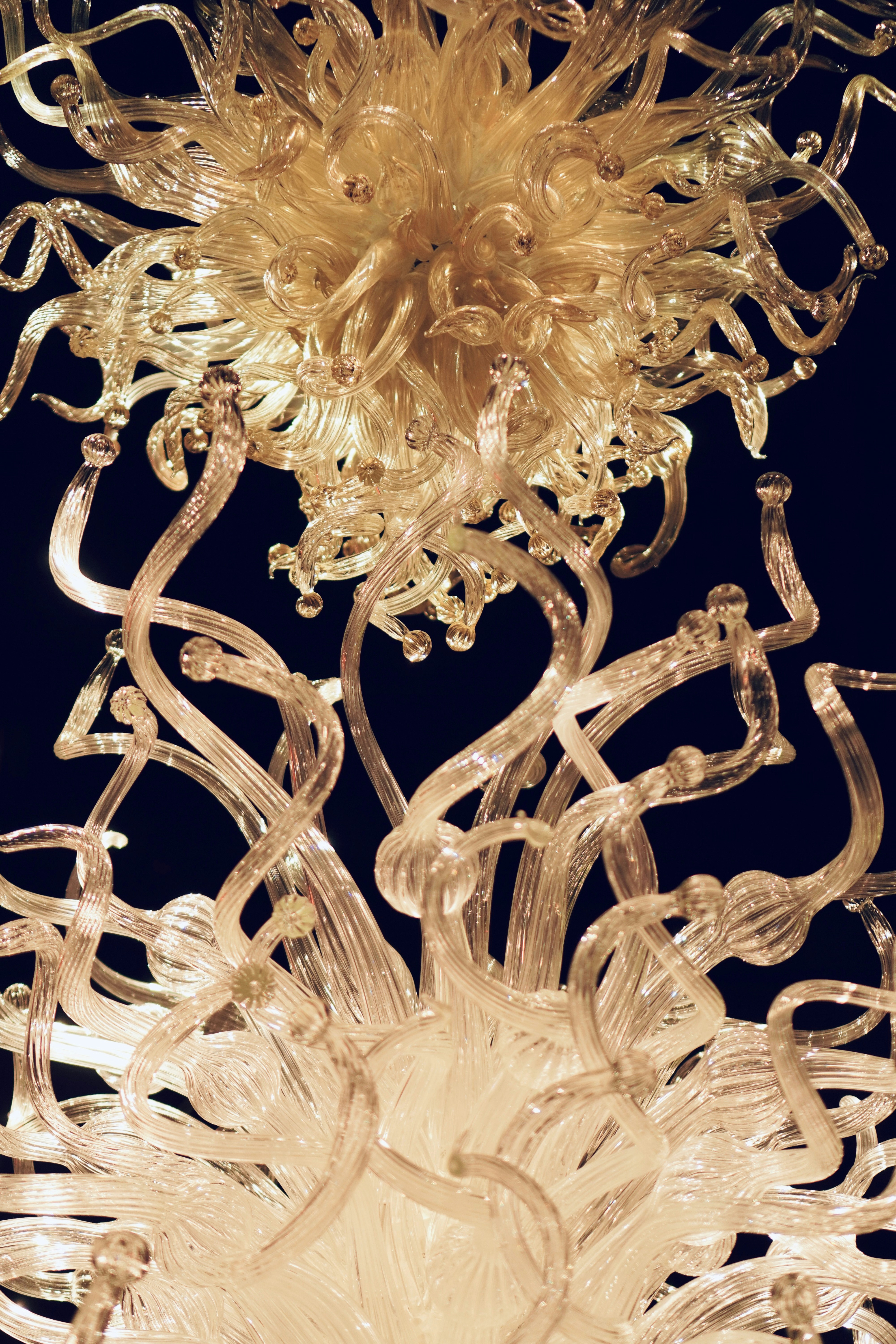 Glass Tendrils in Night Bloom: A Macro Portrait of a Chandelier