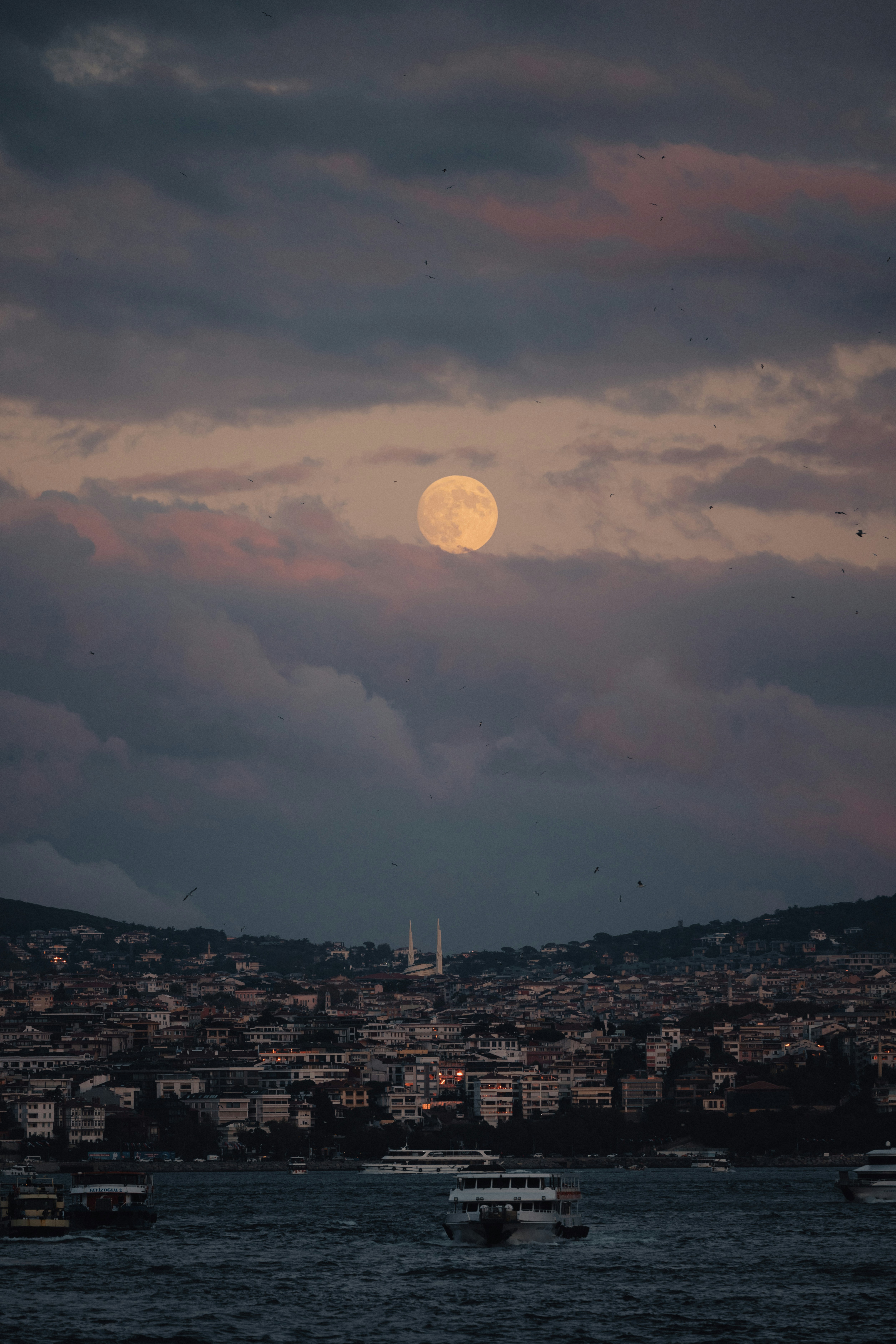 Moonrise over a shadowed harbor: minarets, boats, and pastel dusk clouds