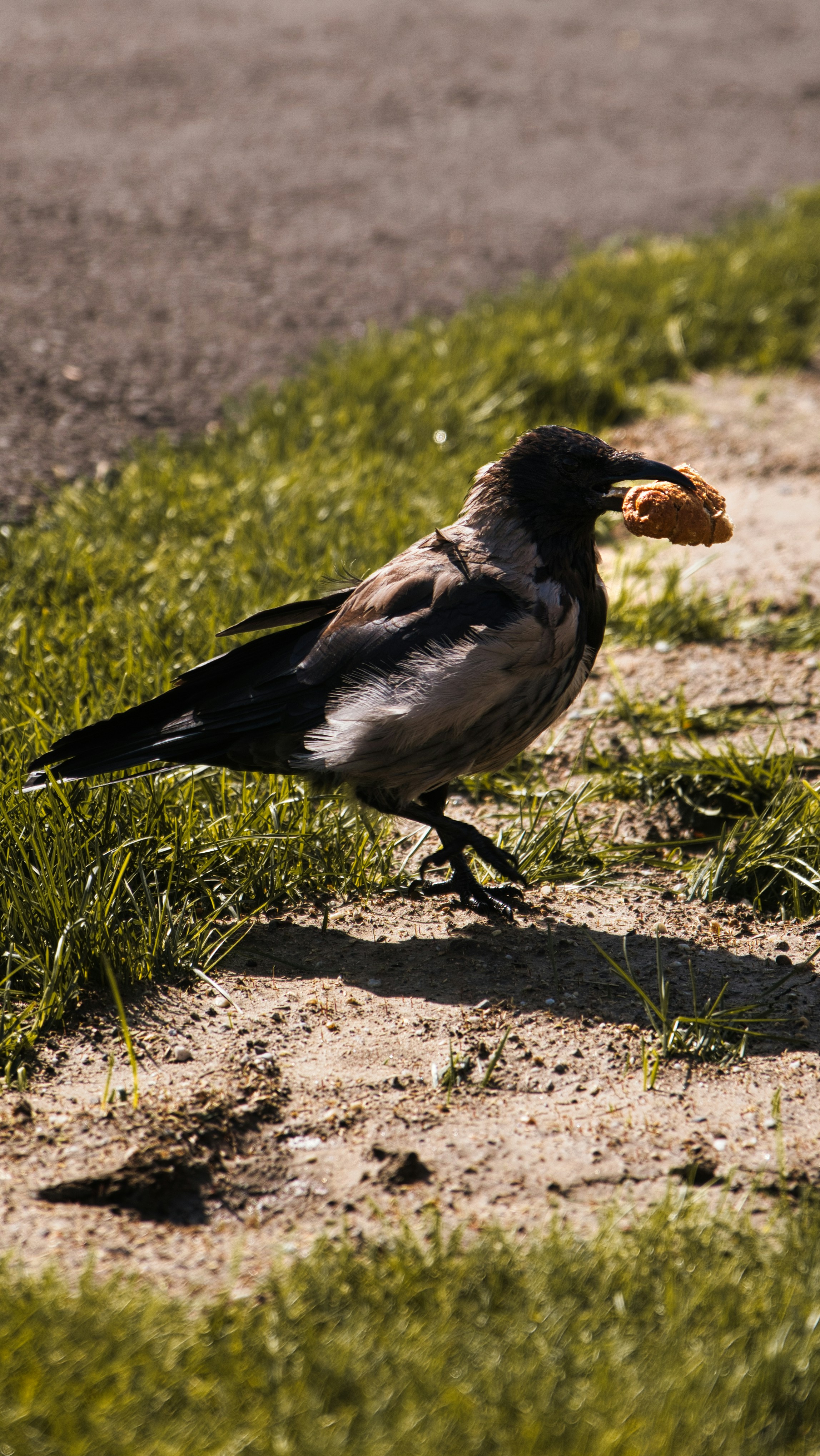 Photo by Sawhi Qabar with Sony Alpha 6400