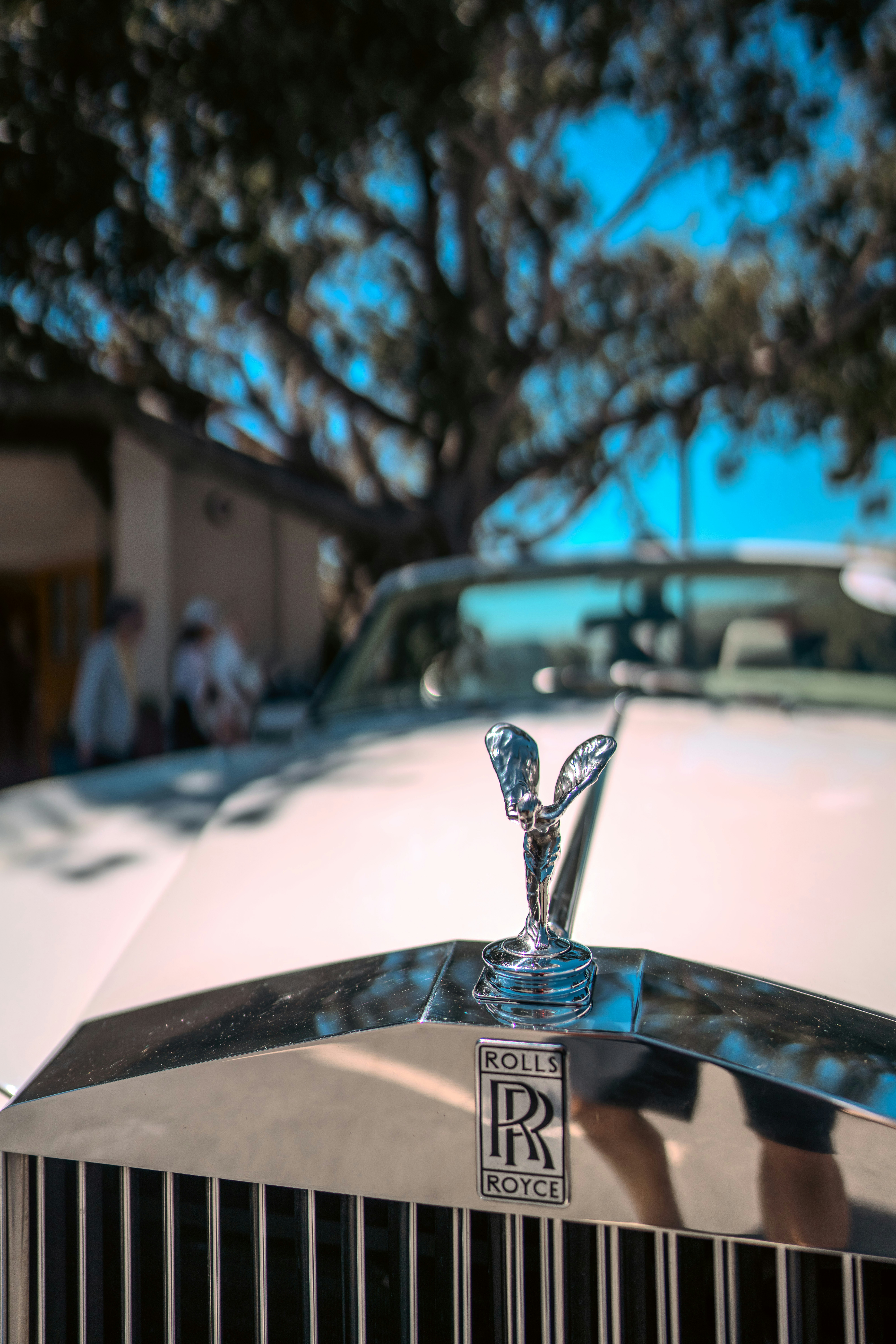 Hooded Elegance: The Spirit of Ecstasy Over a Sunlit Rolls-Royce