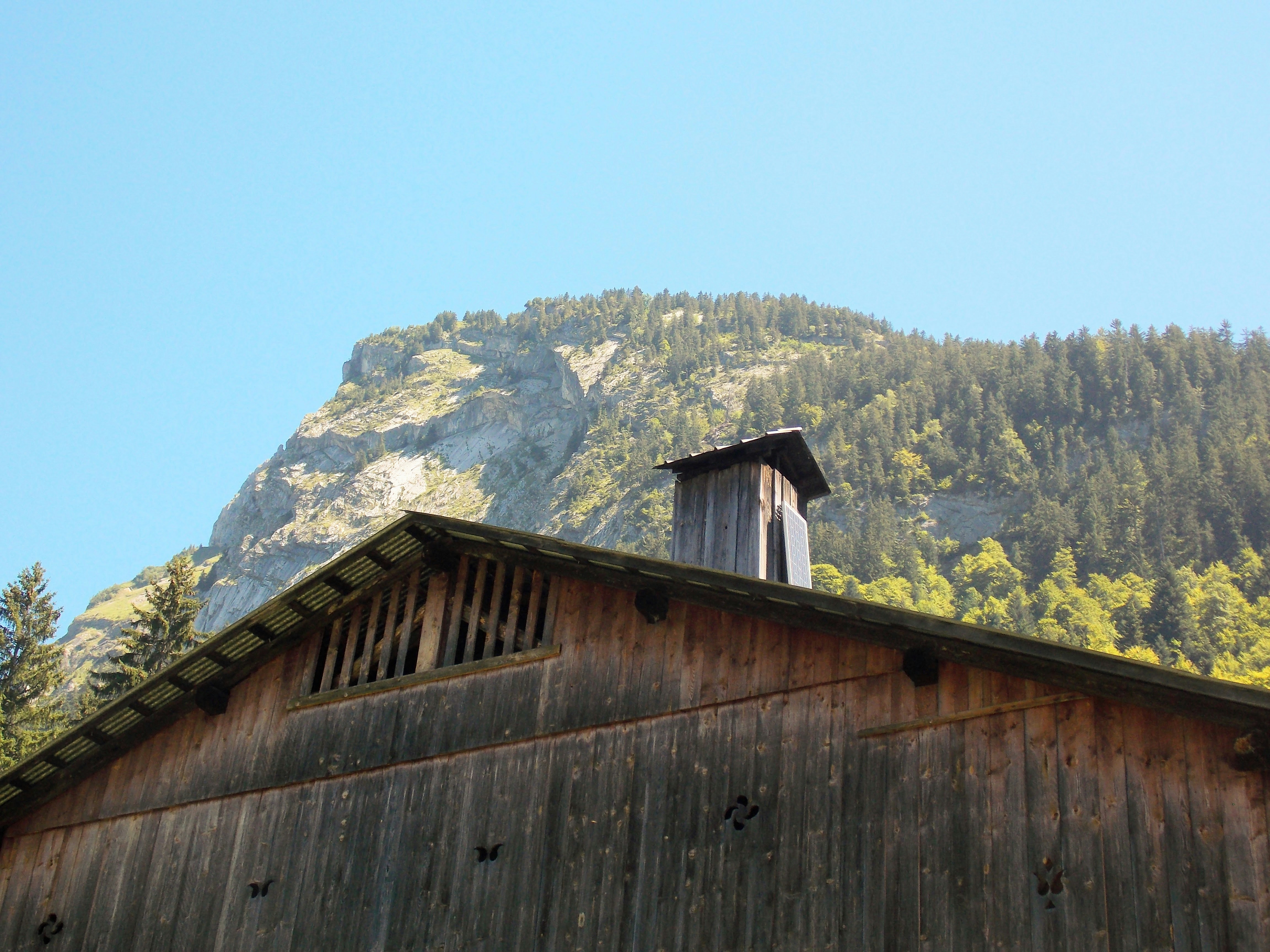 Photo by Julianna Okupski with Nikon COOLPIX L810