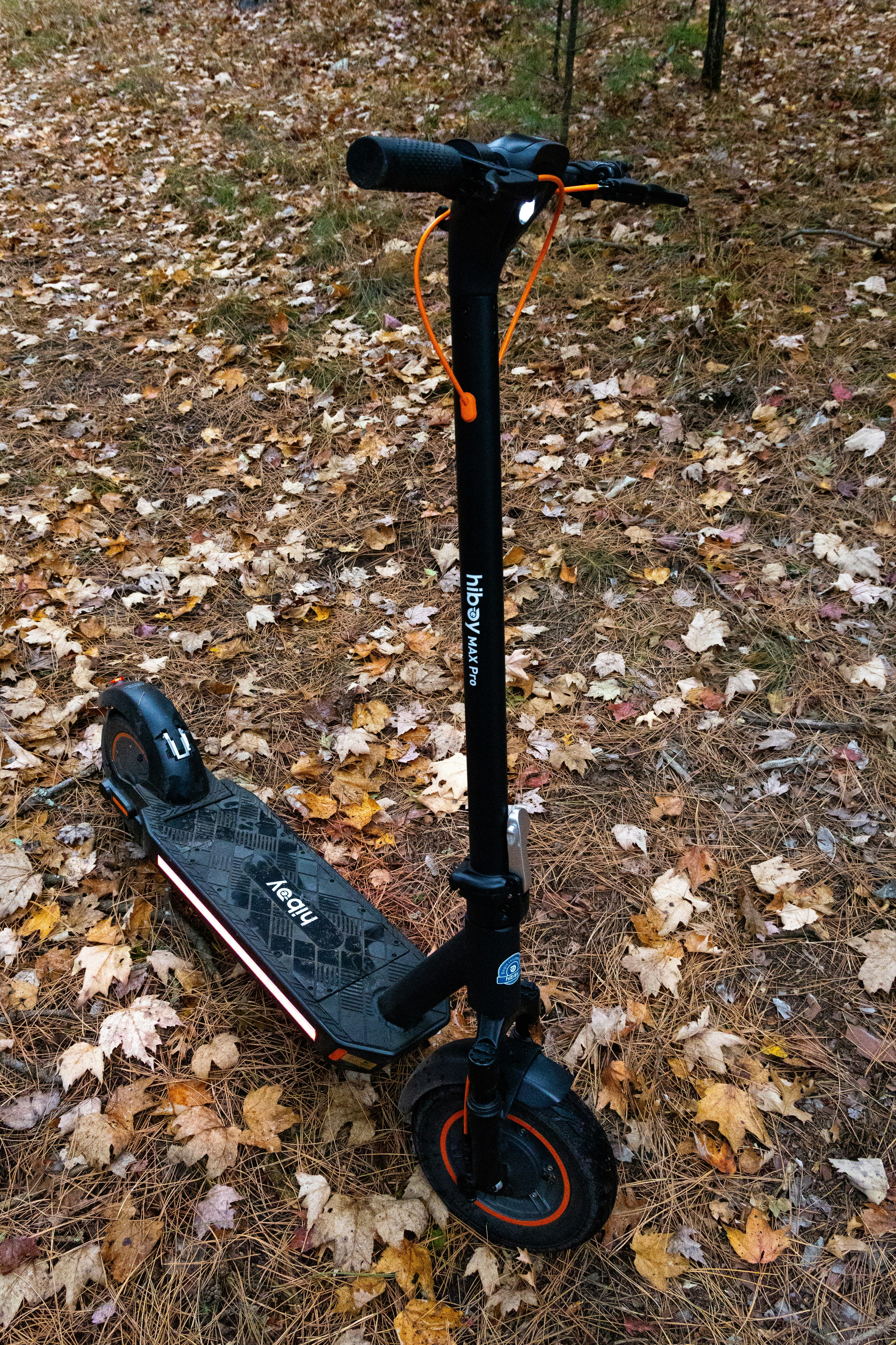 Electric scooter resting on a carpet of autumn leaves, showcasing its sleek design and vibrant colors. The natural setting emphasizes the transition of seasons.