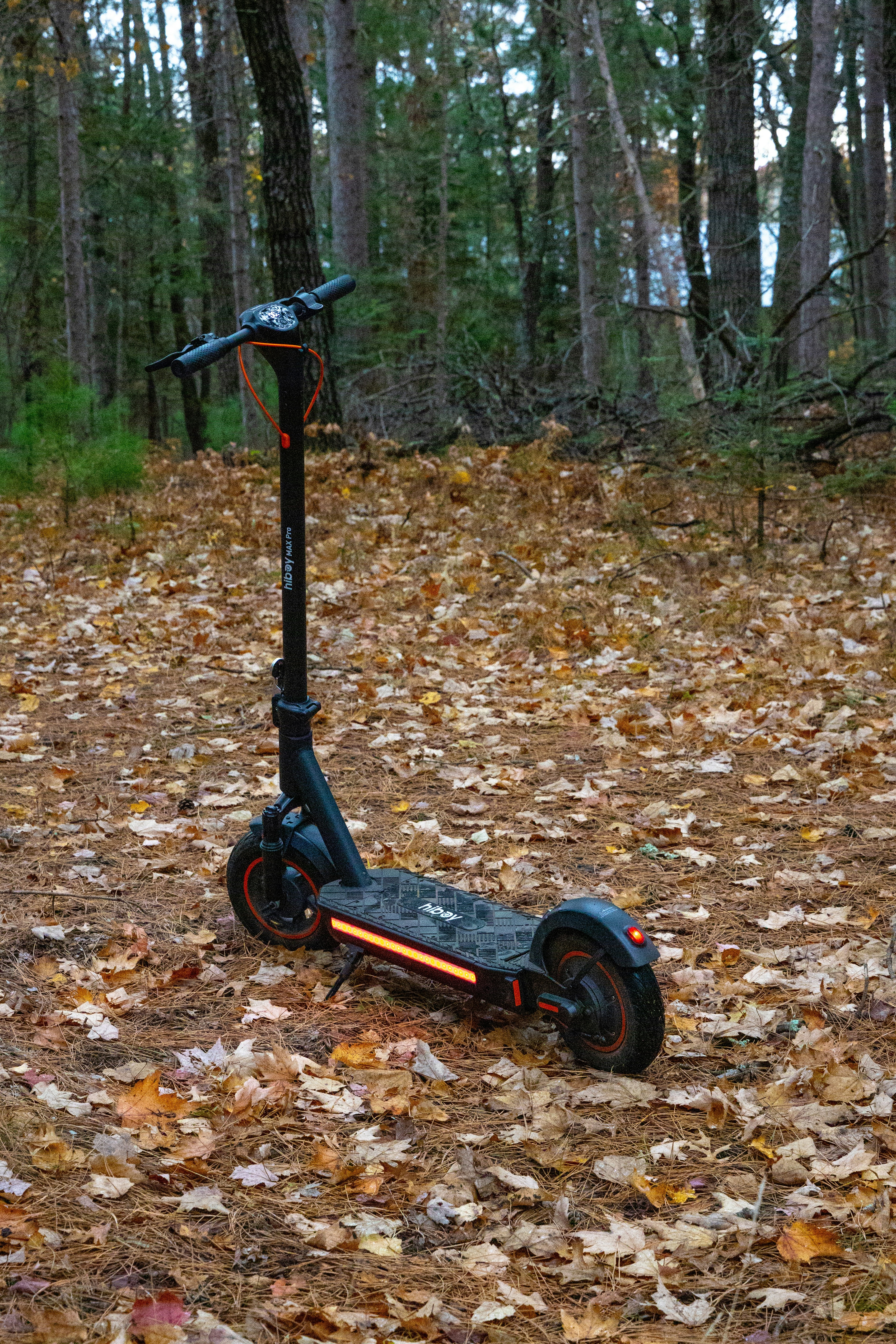 Urban Mobility Meets Nature's Embrace