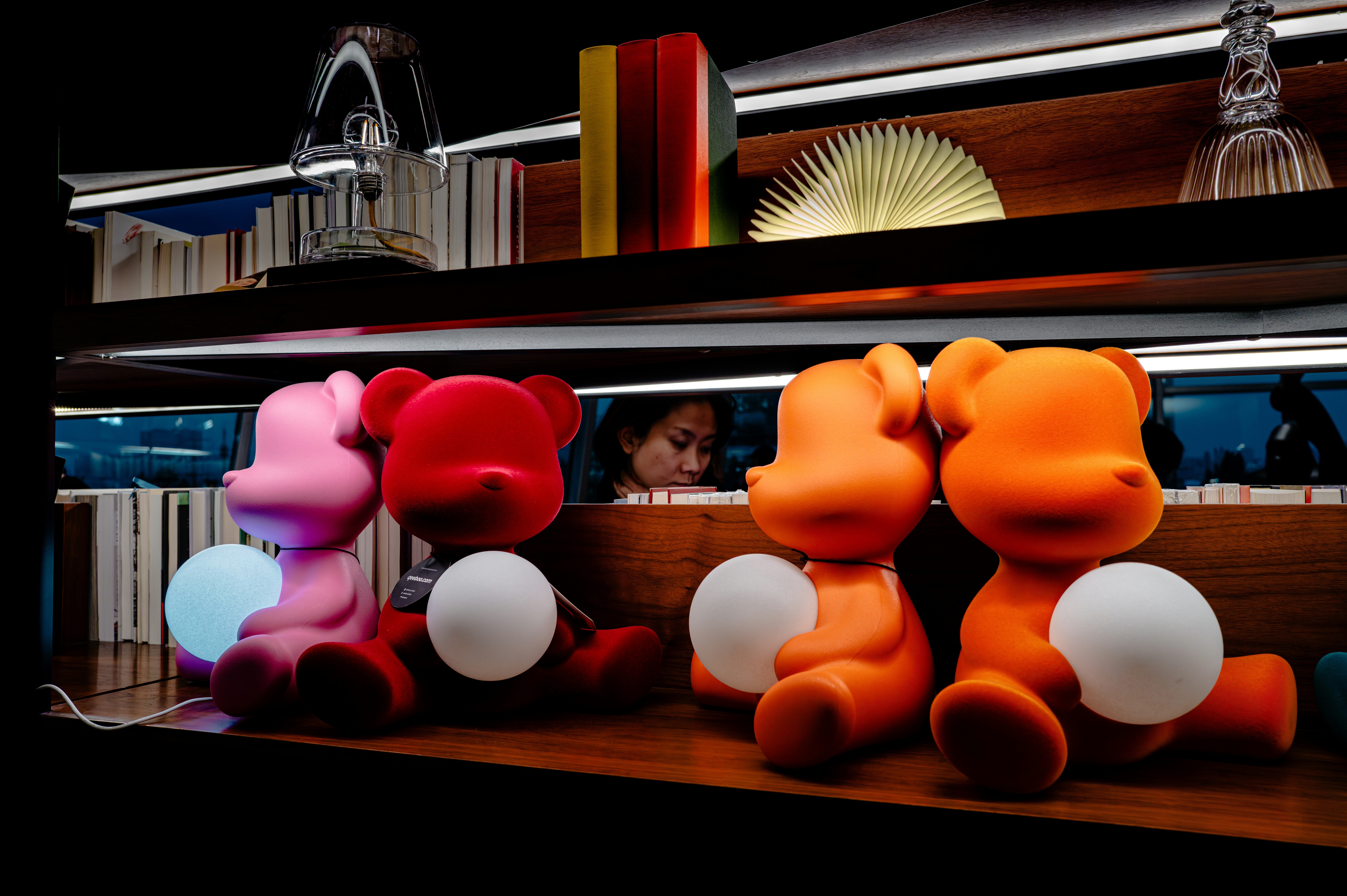 Colorful Teddy Lineup and a Quiet Gazer