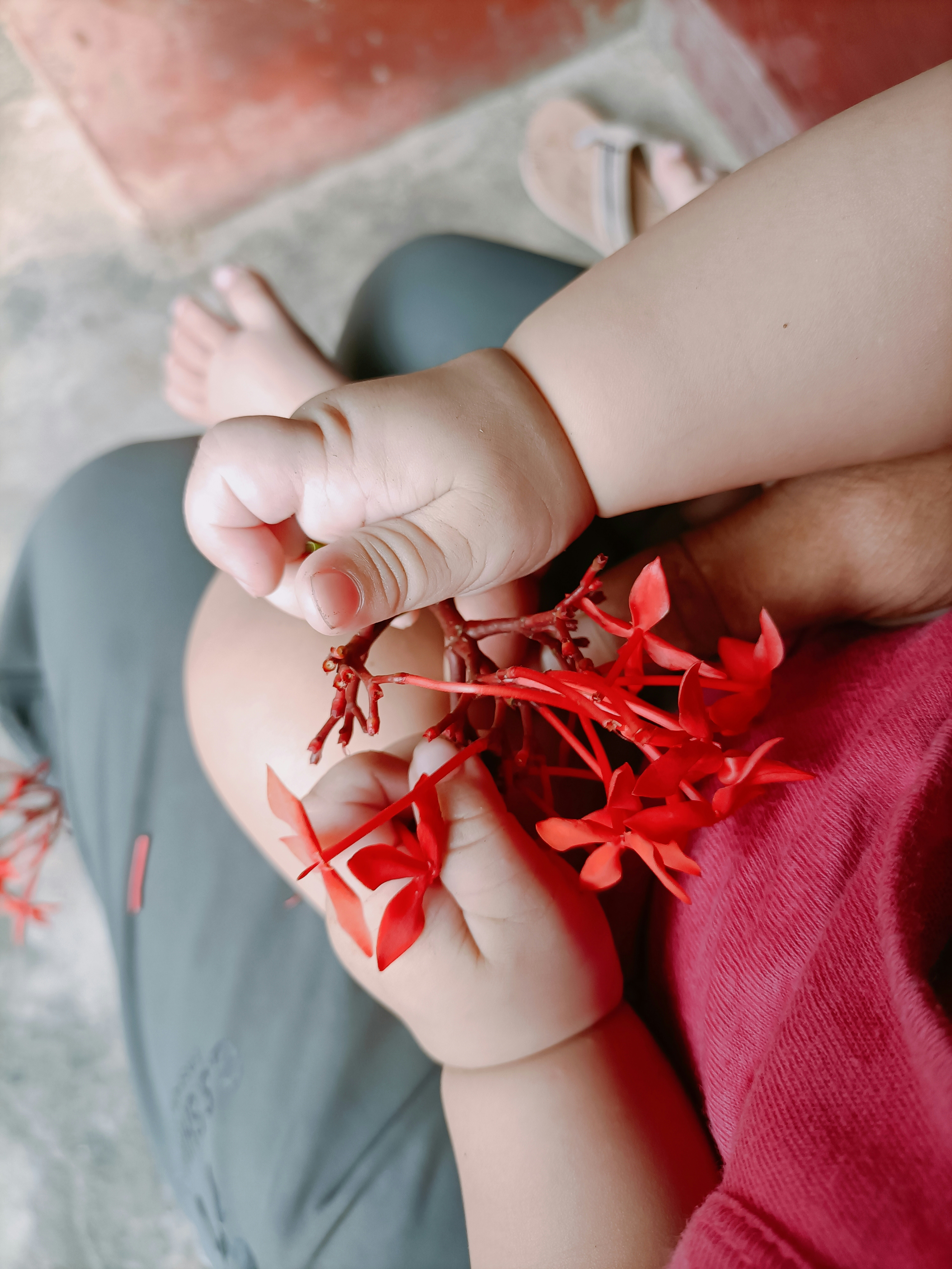 Tender Innocence: A Baby’s Gentle Grip on Red Floral Branches