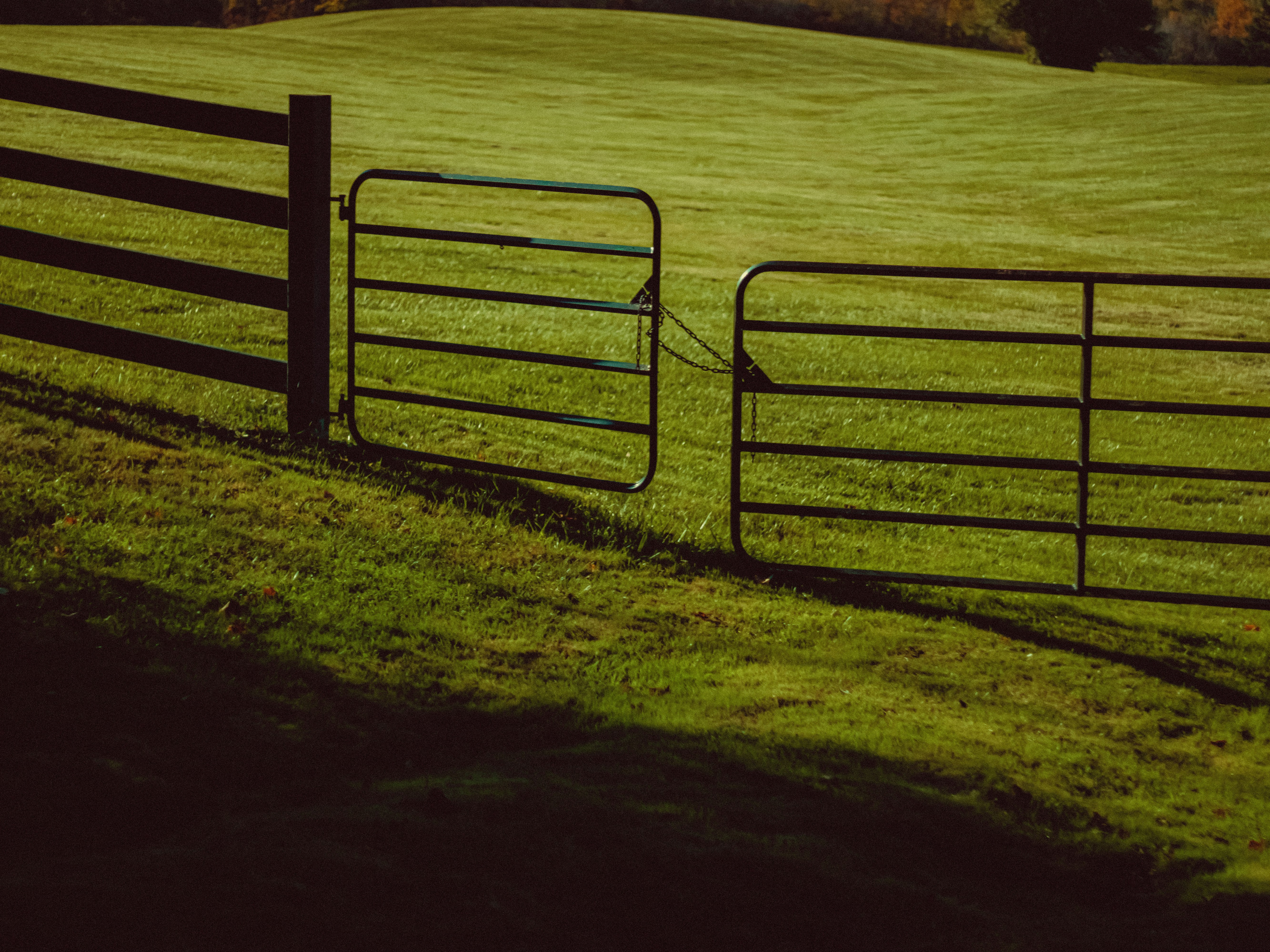Gates at Dusk: Parallel Rails and a Quiet Meadow