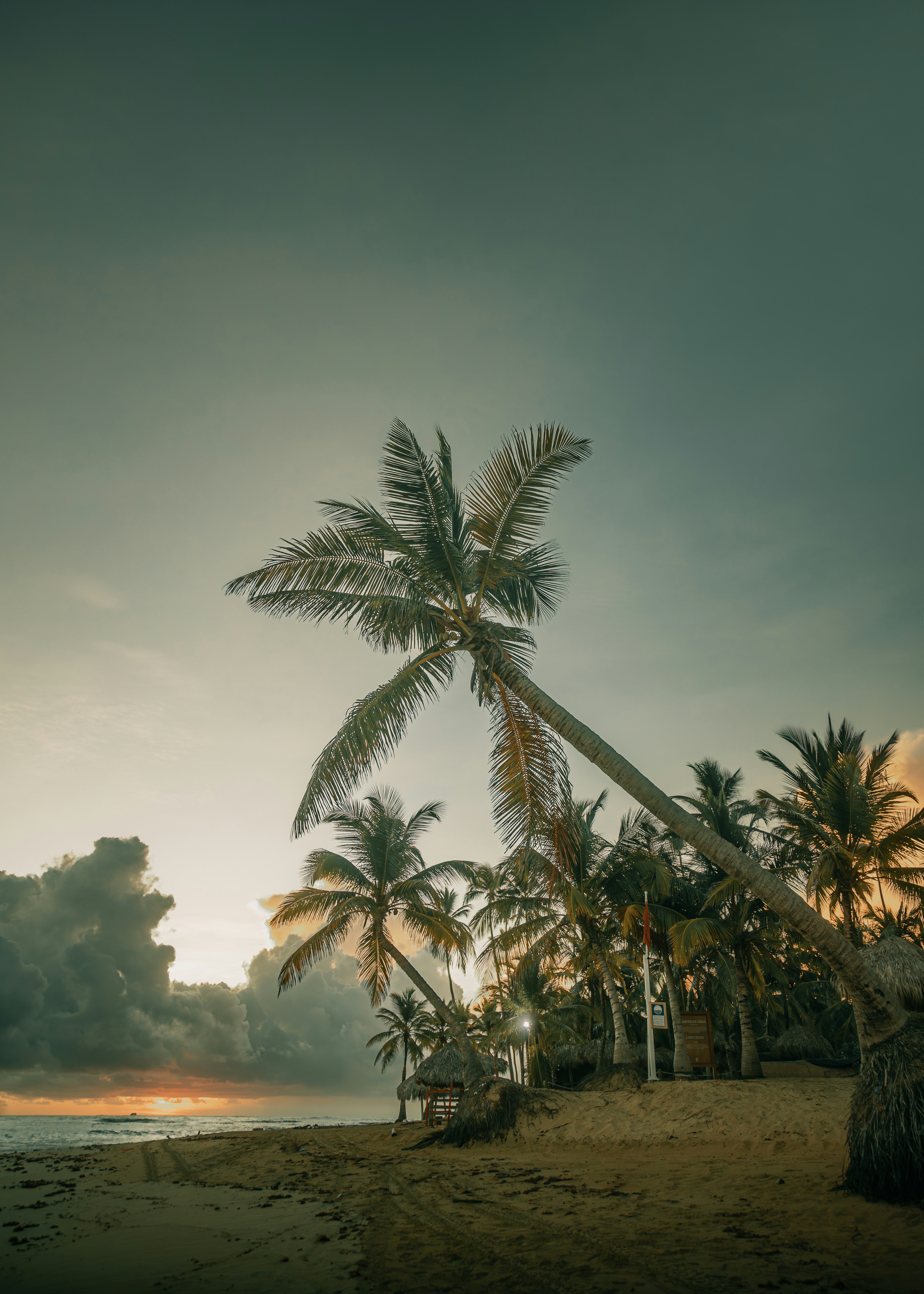Leaning Palm at Sunset: Quiet Tropics by the Shore