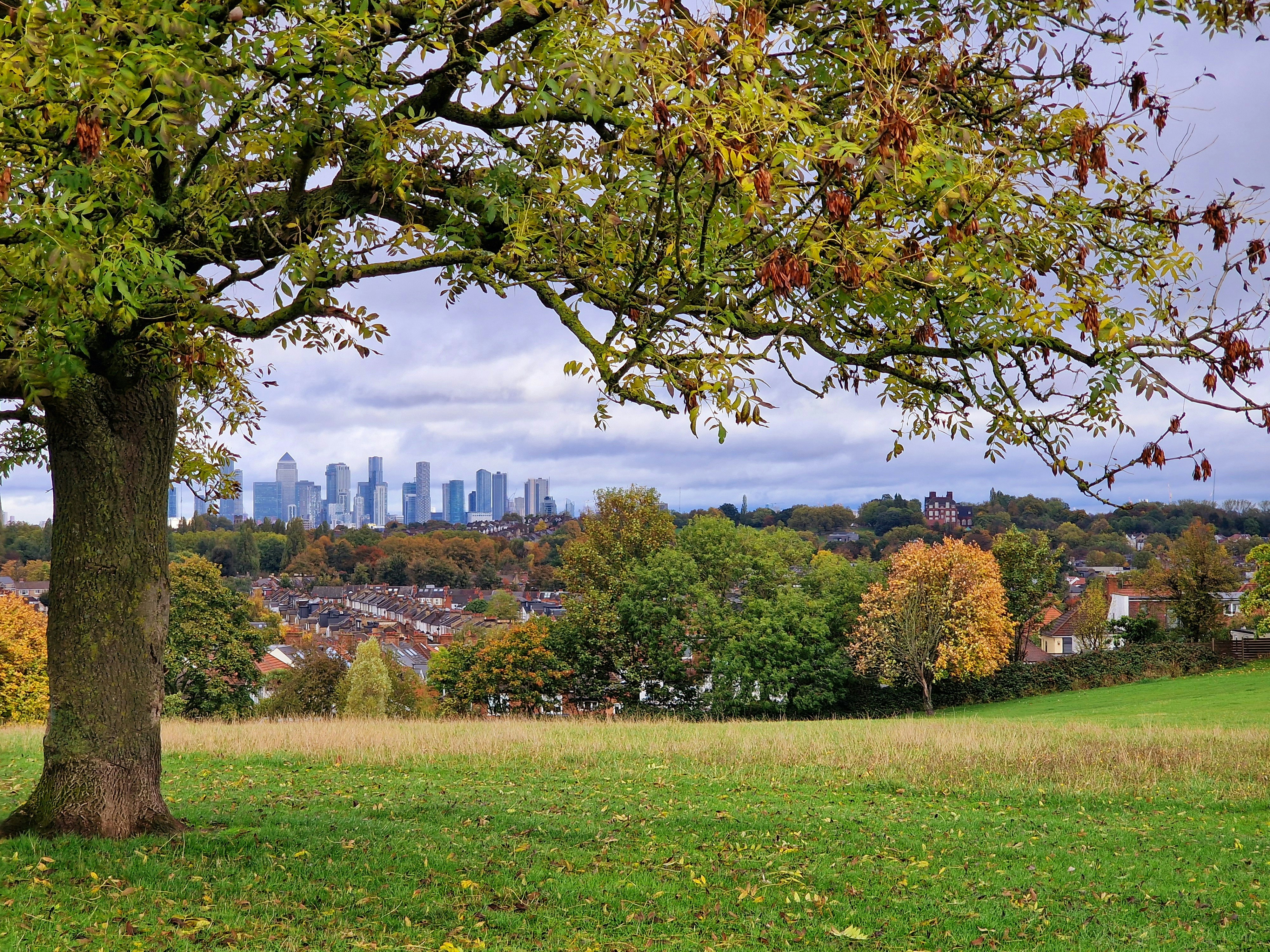 Canary Wharf View from Blythe Hill Park, London, UK
