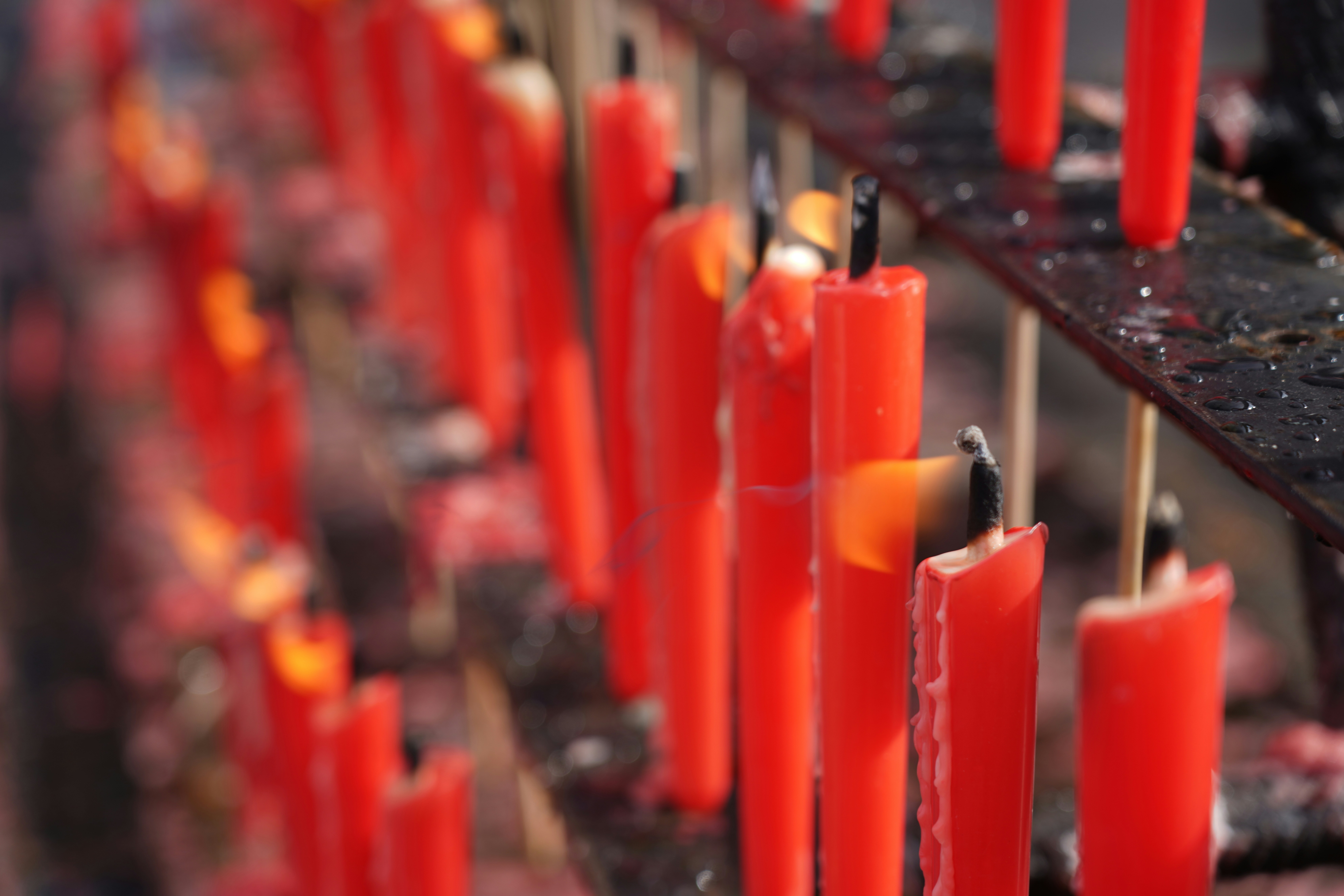 Rows of red candles burning softly on a metal stand, their wax melting under the warm glow.
