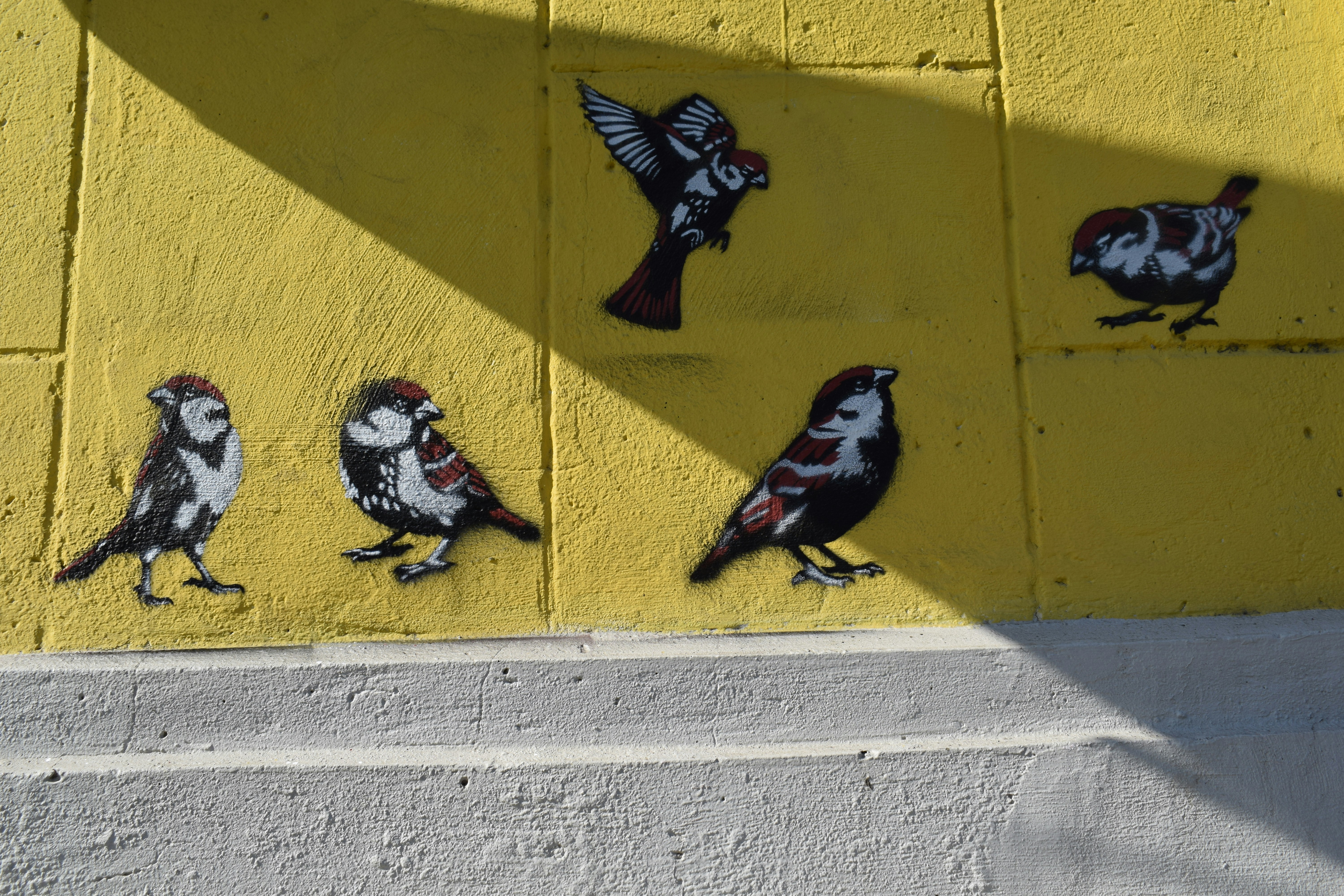 Winged Palette: Birds Aligned on a Sunlit Yellow Wall