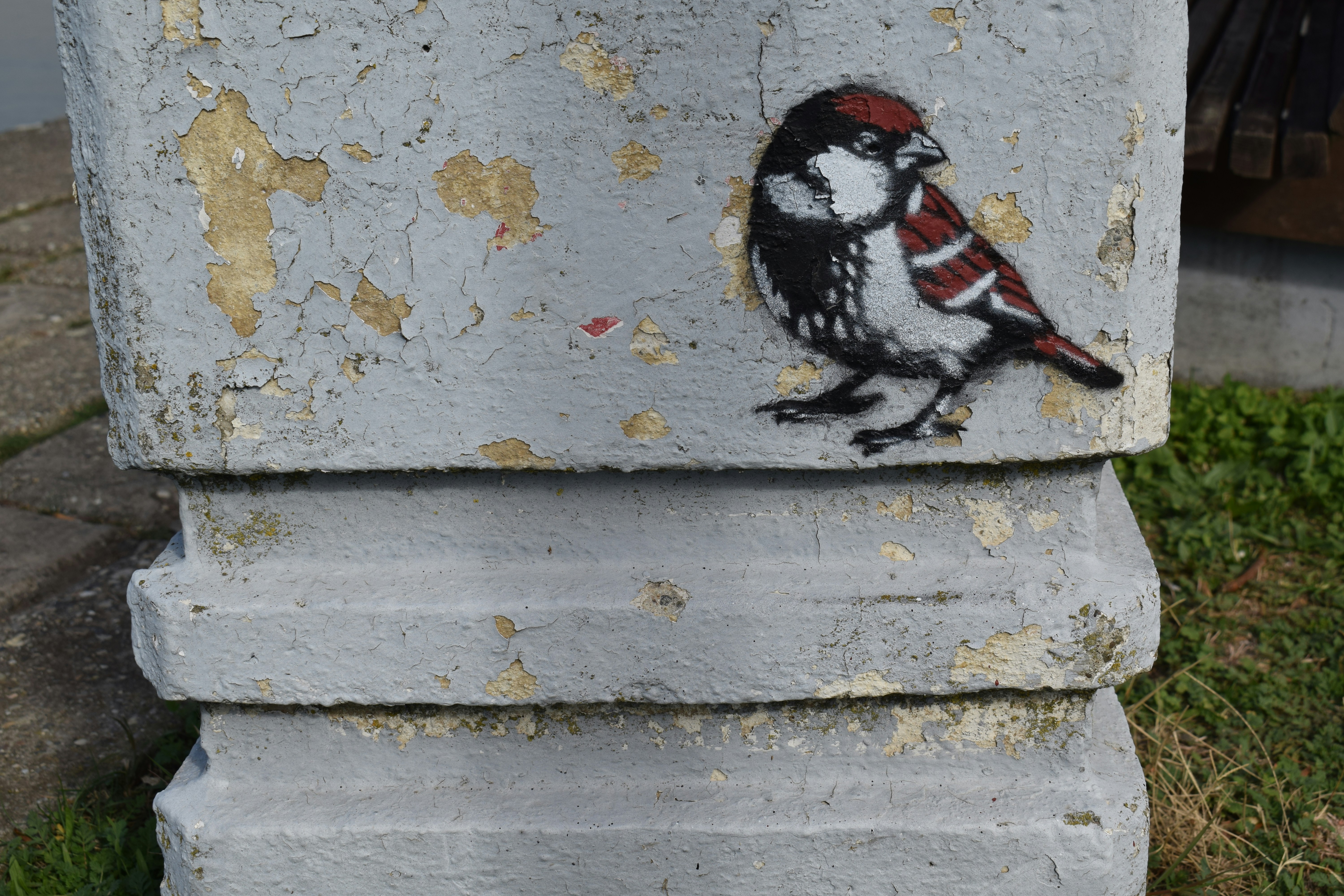 A bird painted on the side of a cement pillar photo – Free Animal Image ...