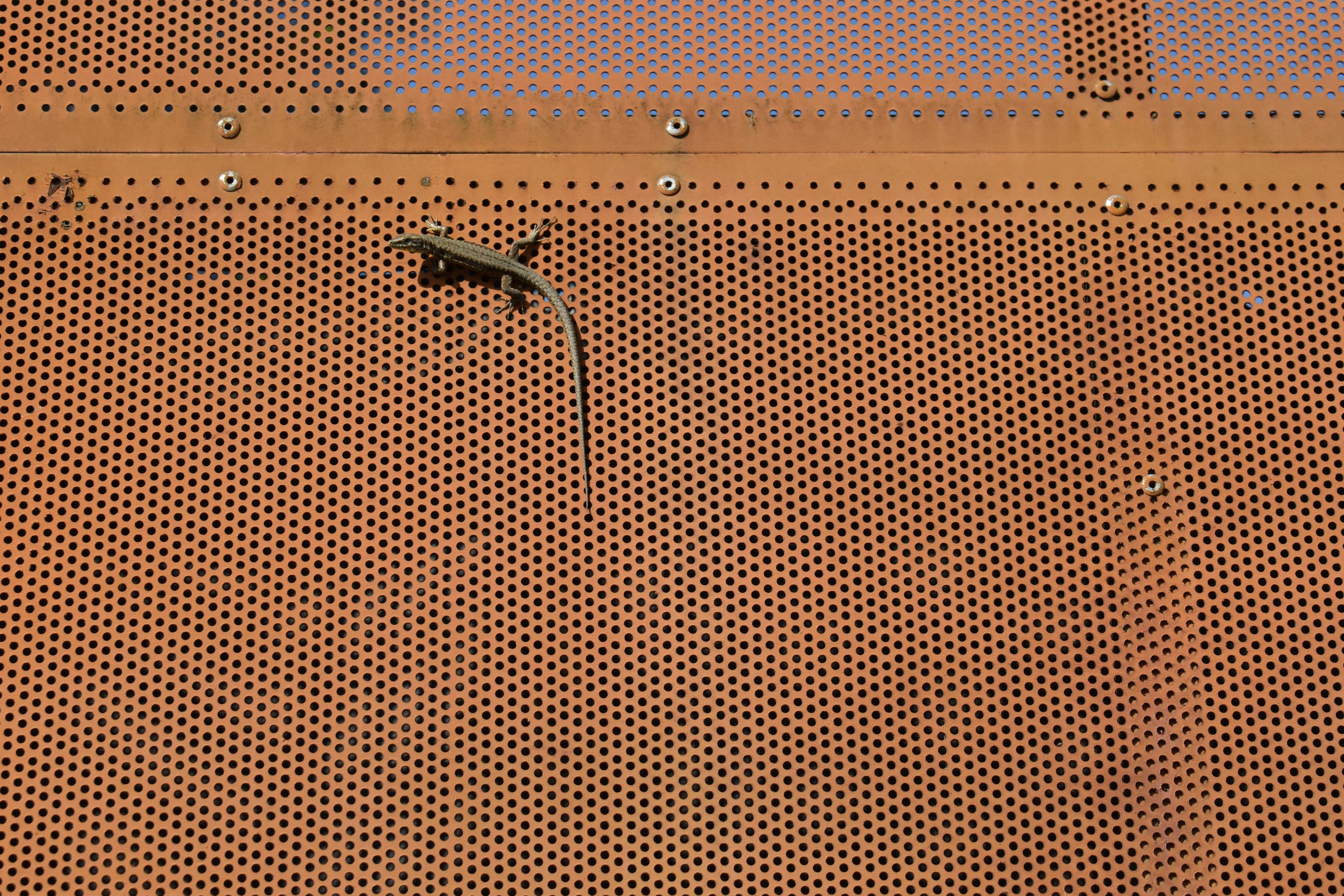 Photo by Marija Zaric with Nikon D5300