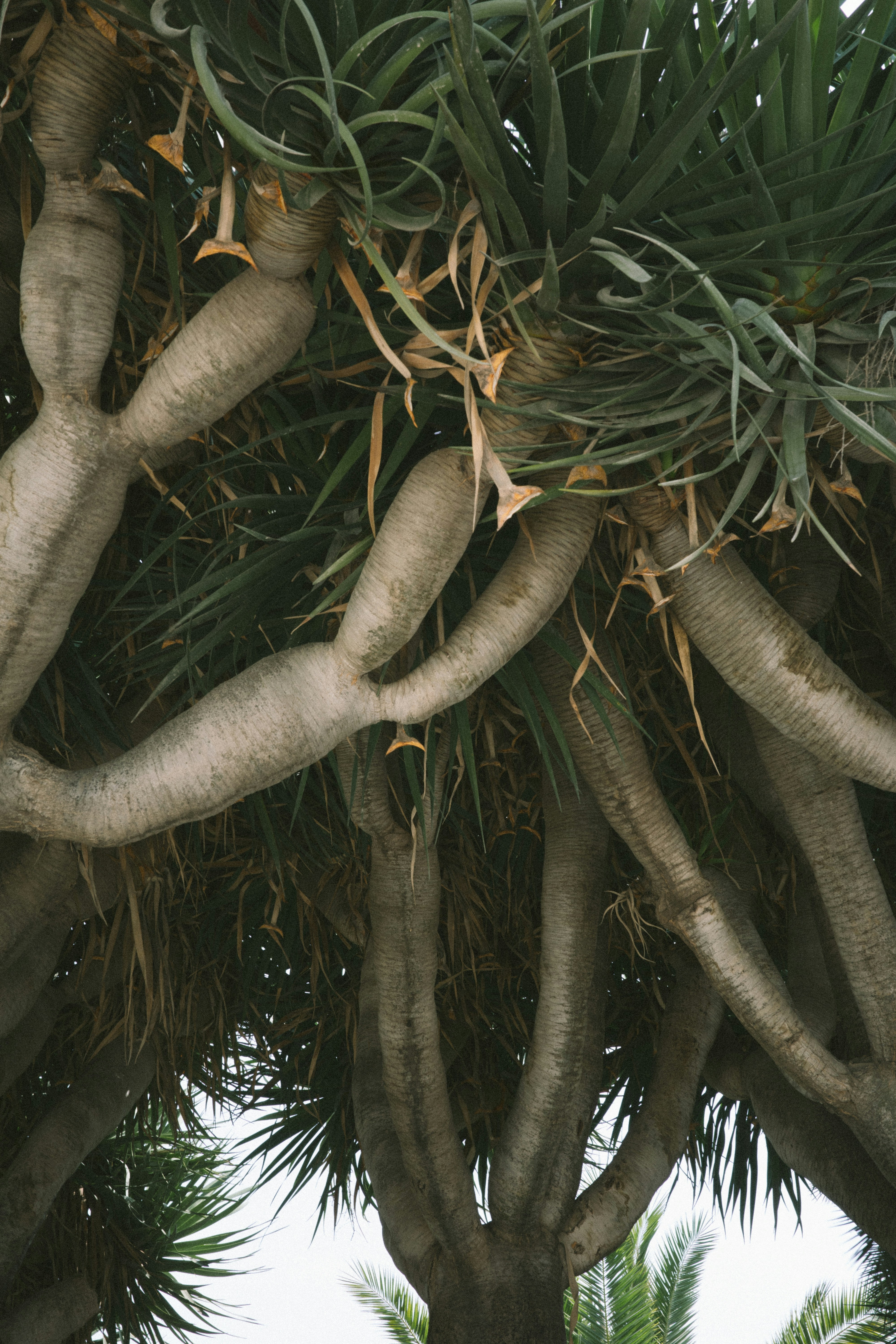 Valencia, Spain 2023