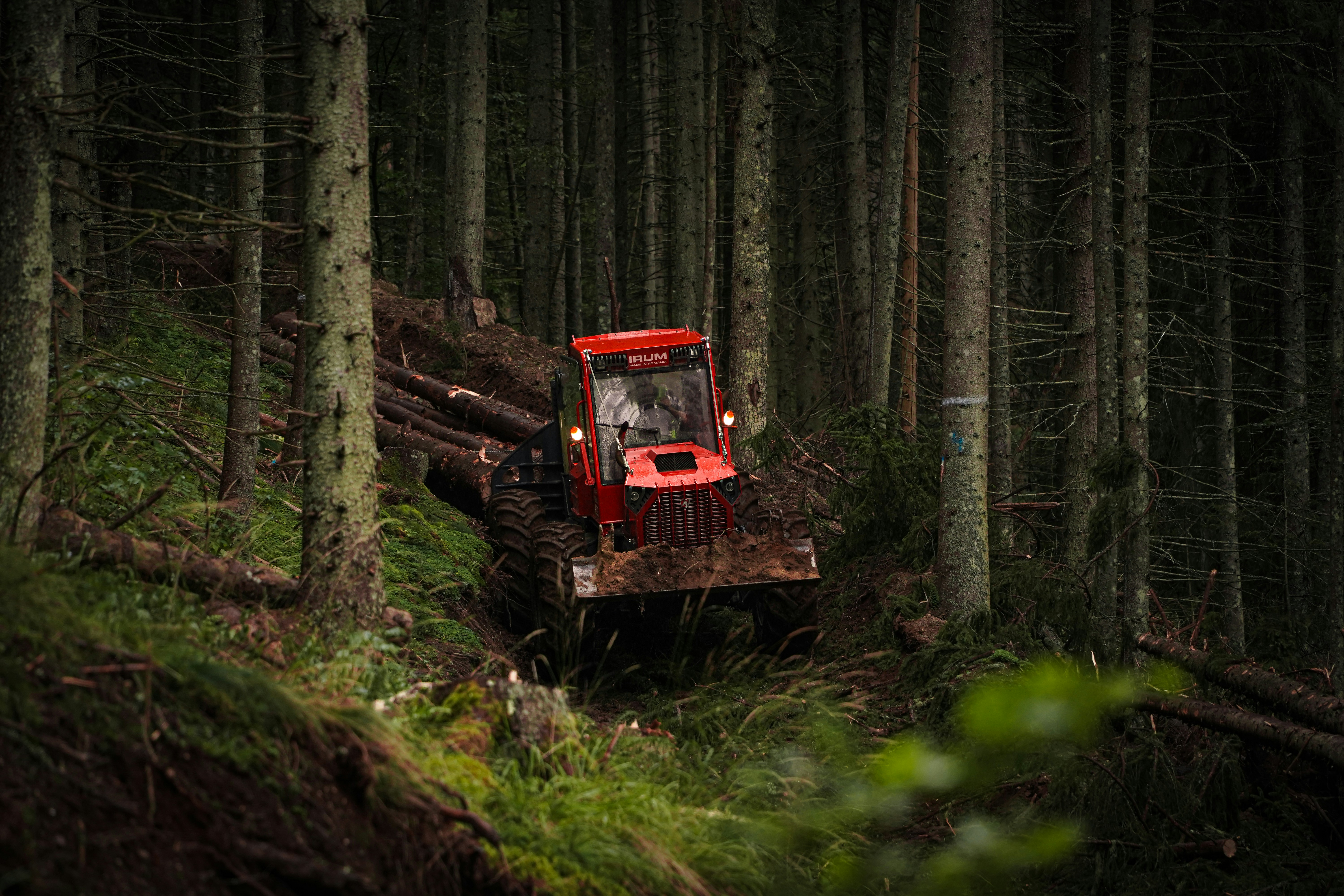 Red Tracked Harvester in a Quiet Coniferous Corridor