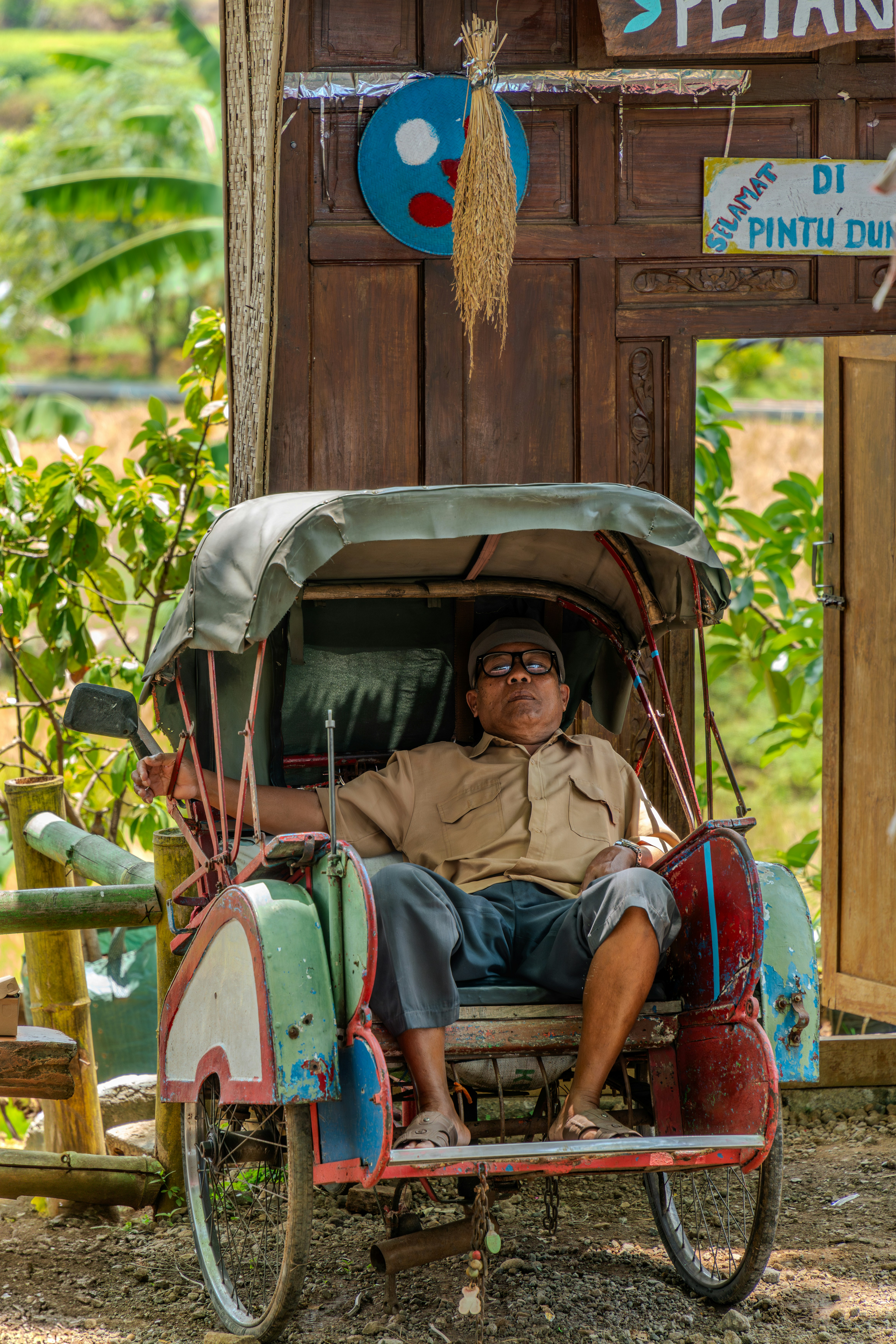 A man is sitting in a rickshaw pulled by a dog photo – Free Mojogedang ...