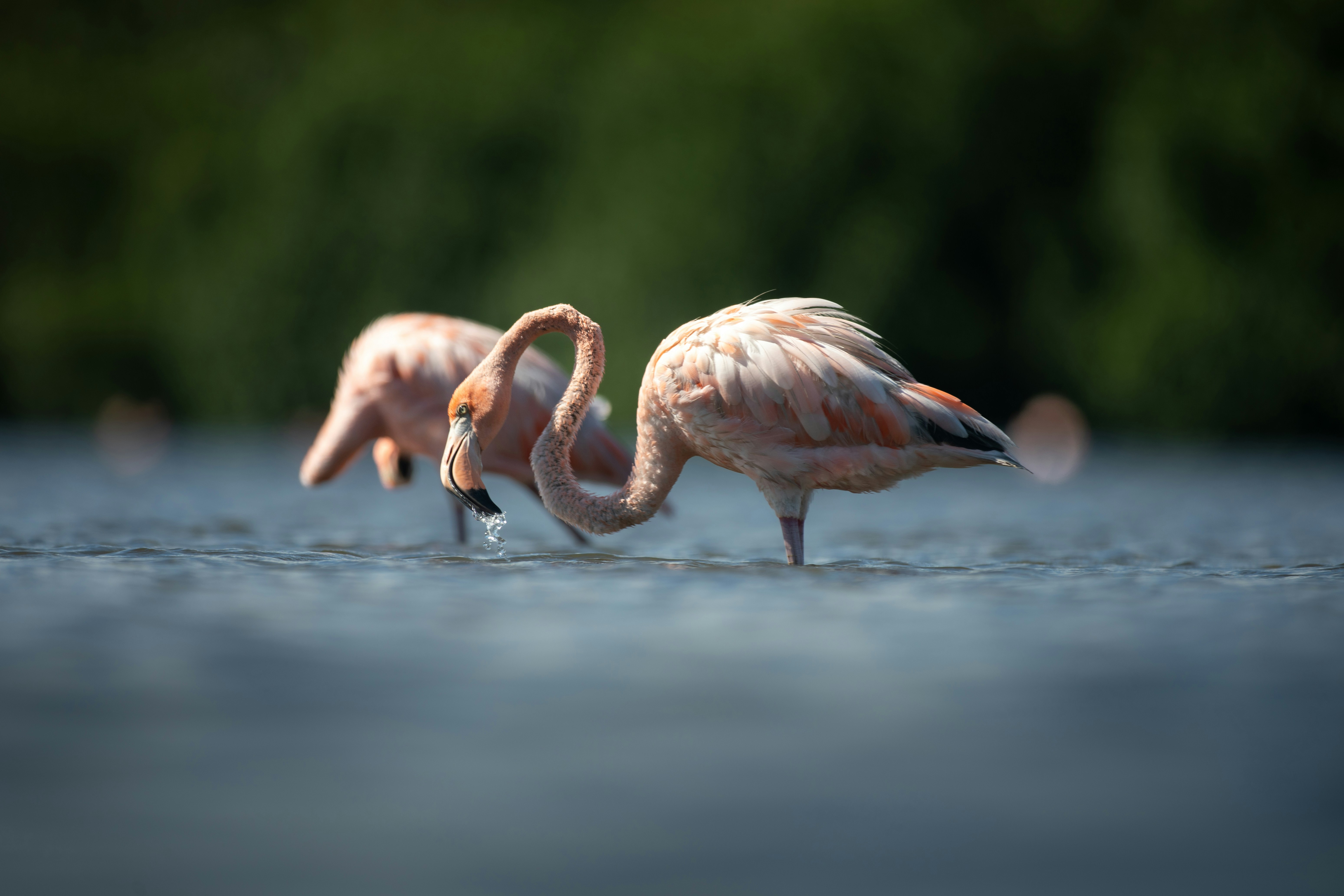 Nicholas Walker (@nwalker34) | Komunitas Foto Unsplash