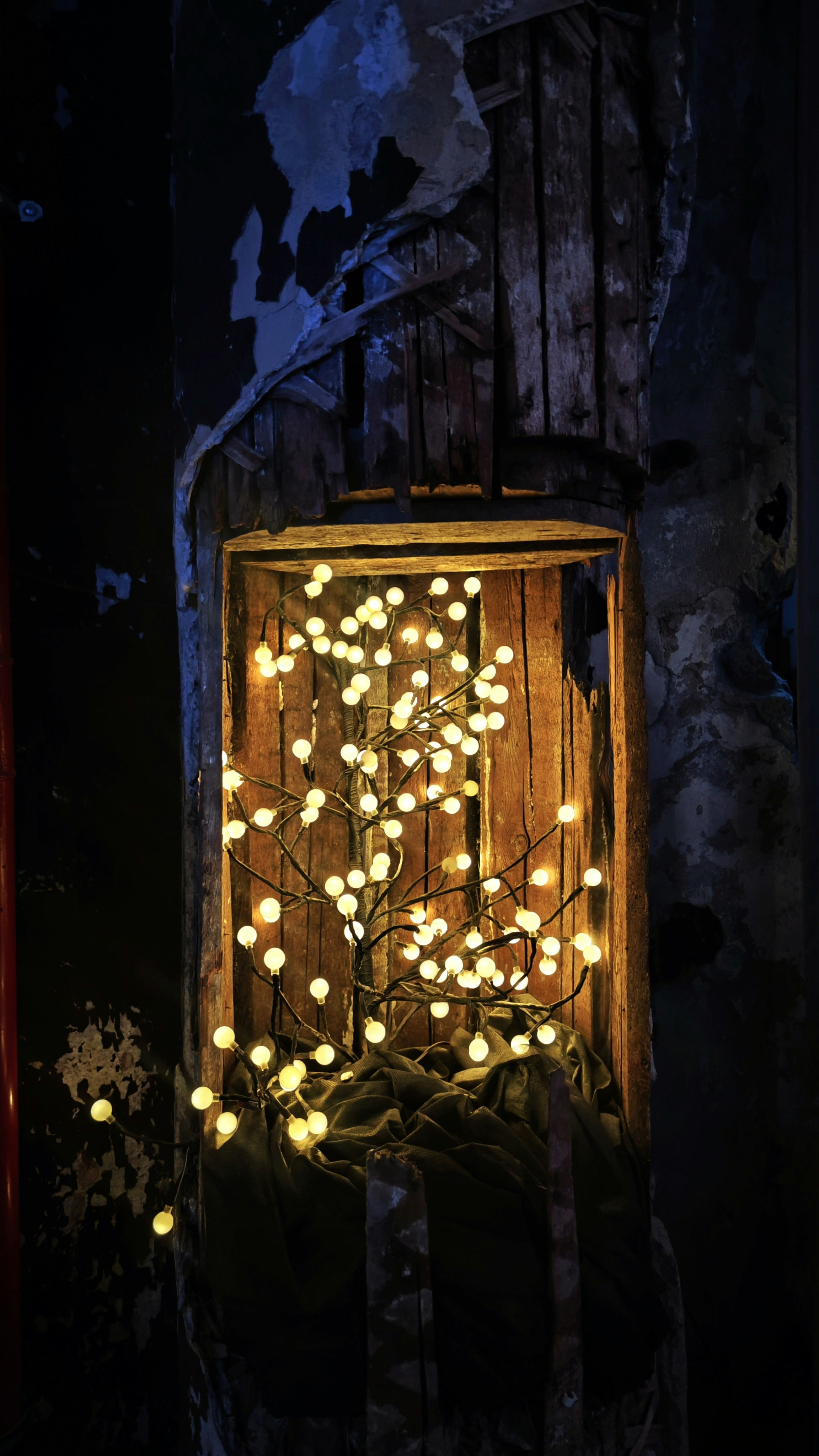 A lighted tree in a wooden crate in a dark room