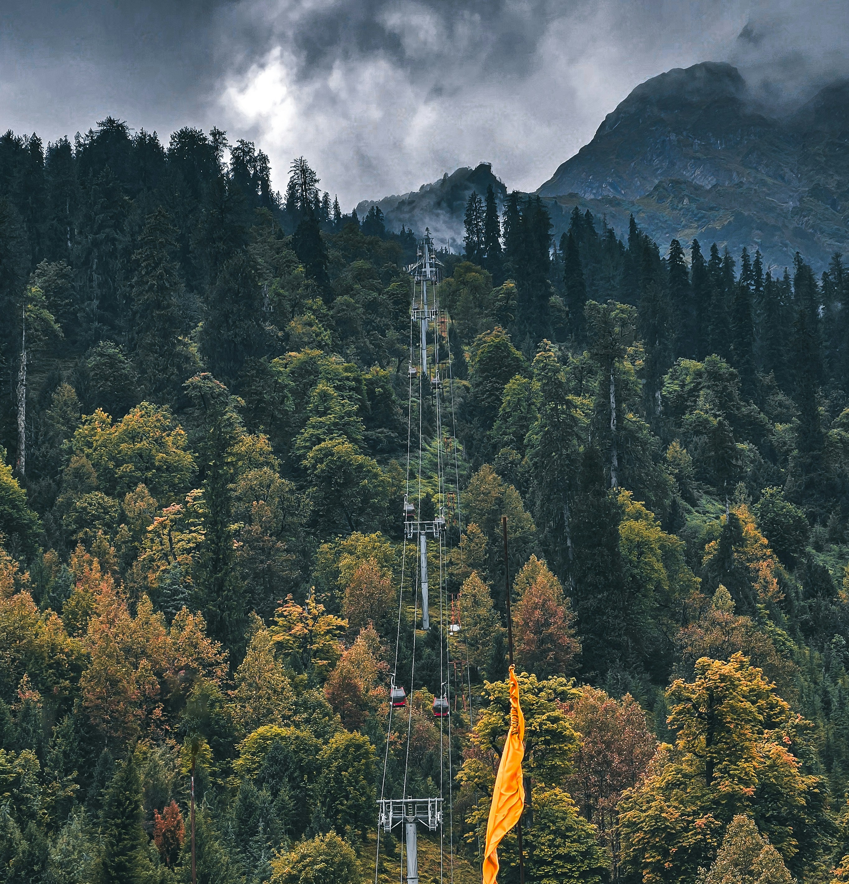 Antenna Sentinel Rising Through Autumn Pines
