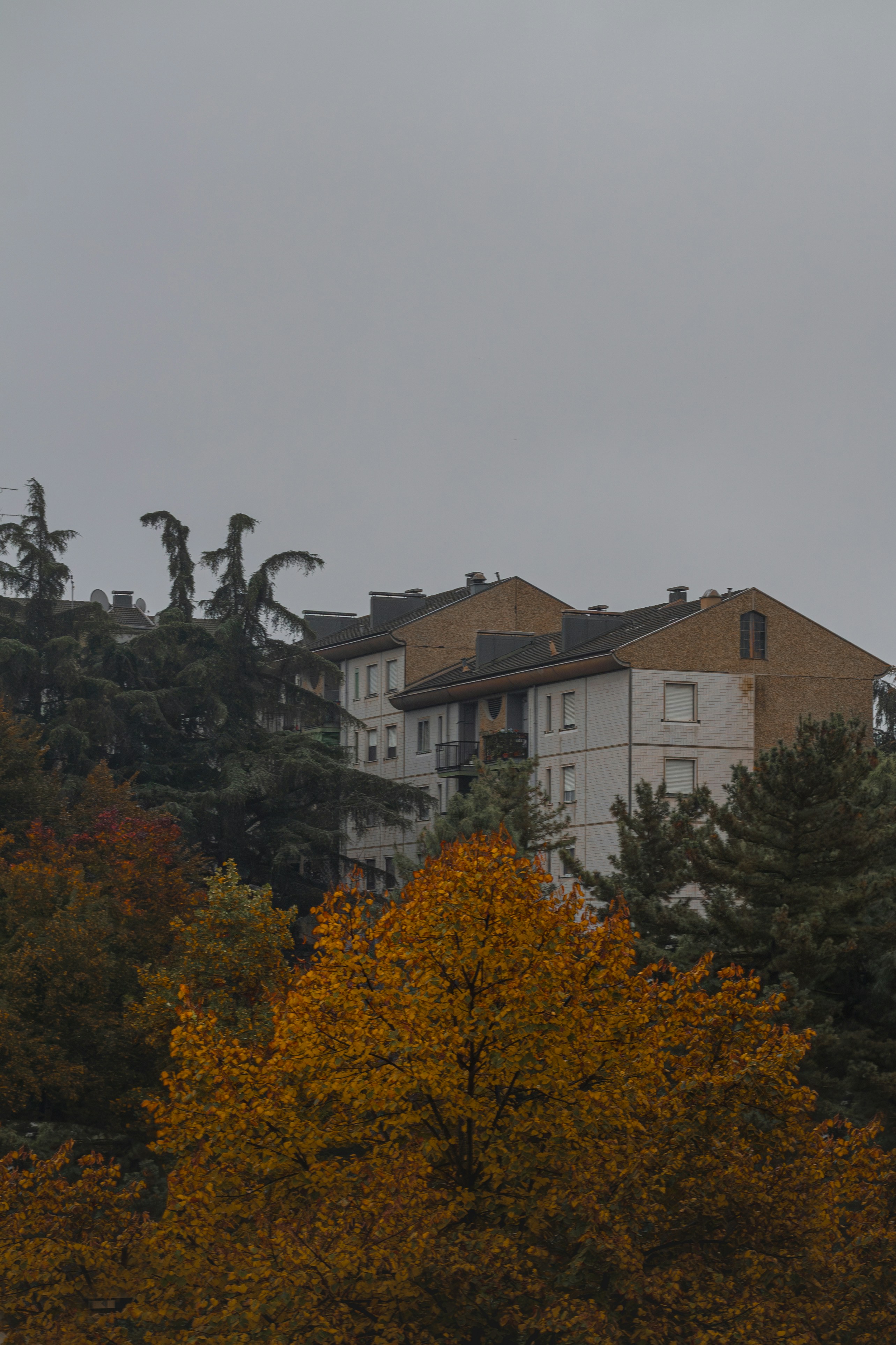 Photo by Joele Pitzalis with Canon EOS 1100D