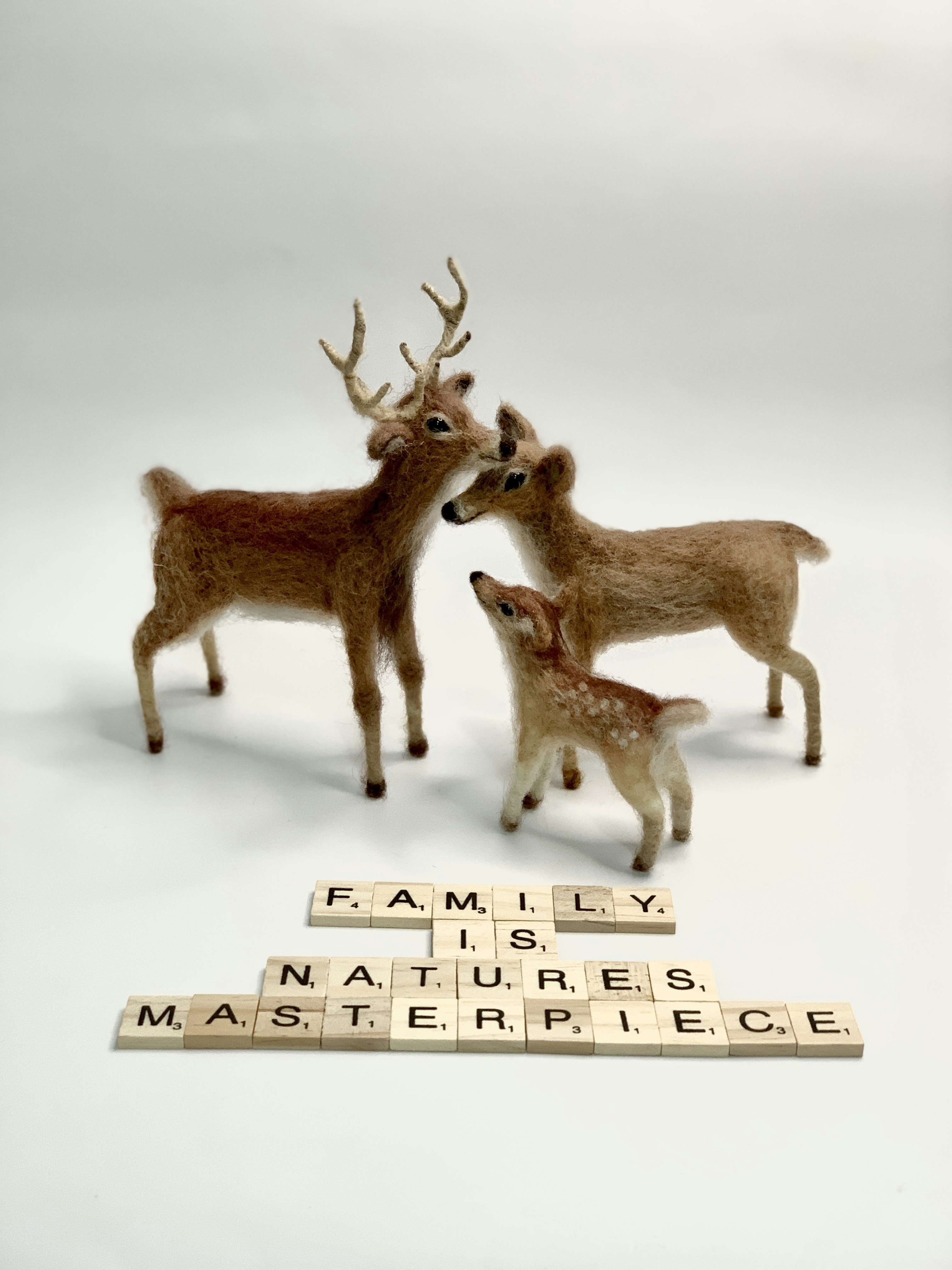 Wordplay Family: A Deer Trio Framed by Scrabble Tiles in a White Studio