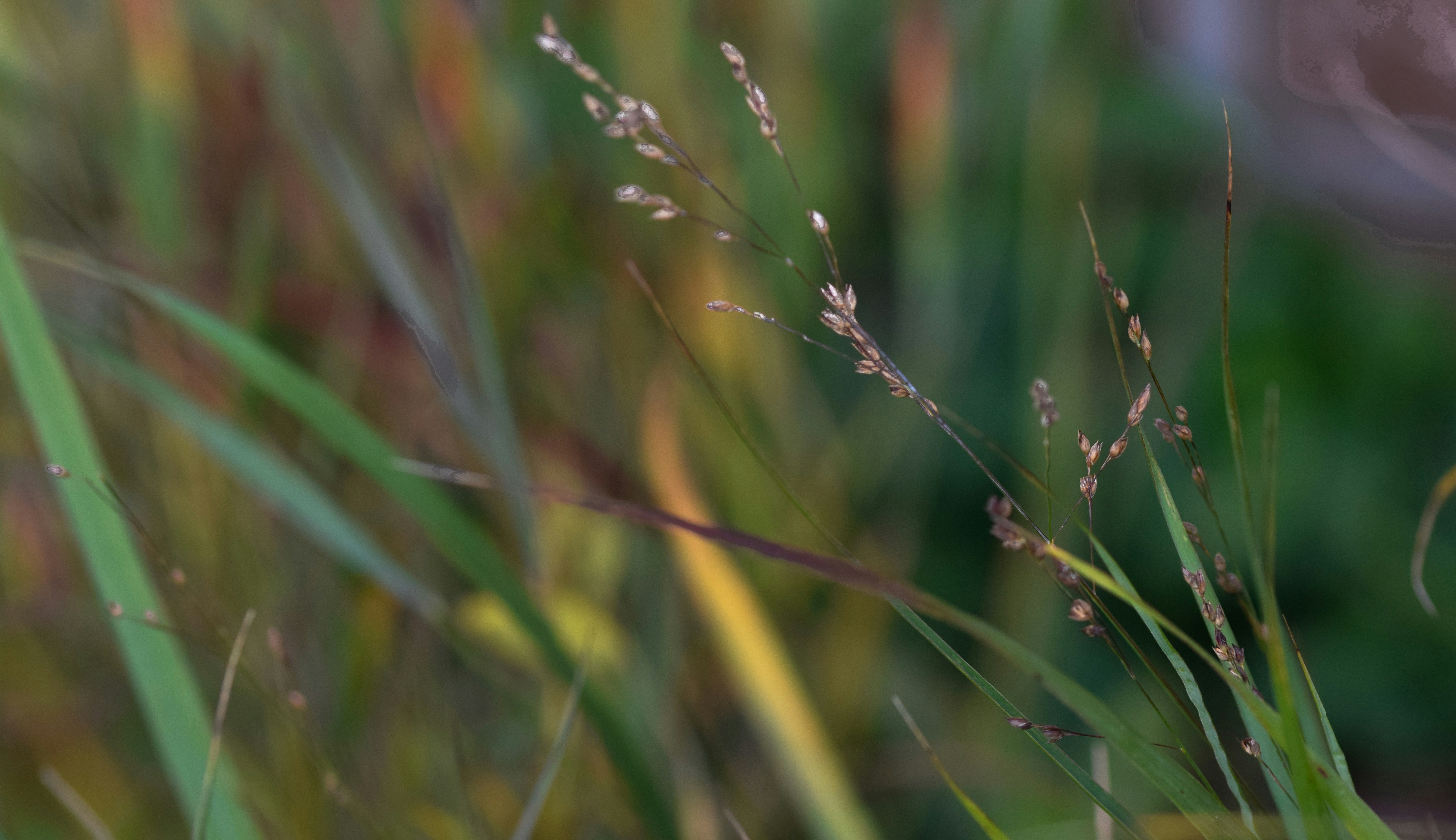 Monique Diericx (@moniquedi) | Unsplash 사진 커뮤니티