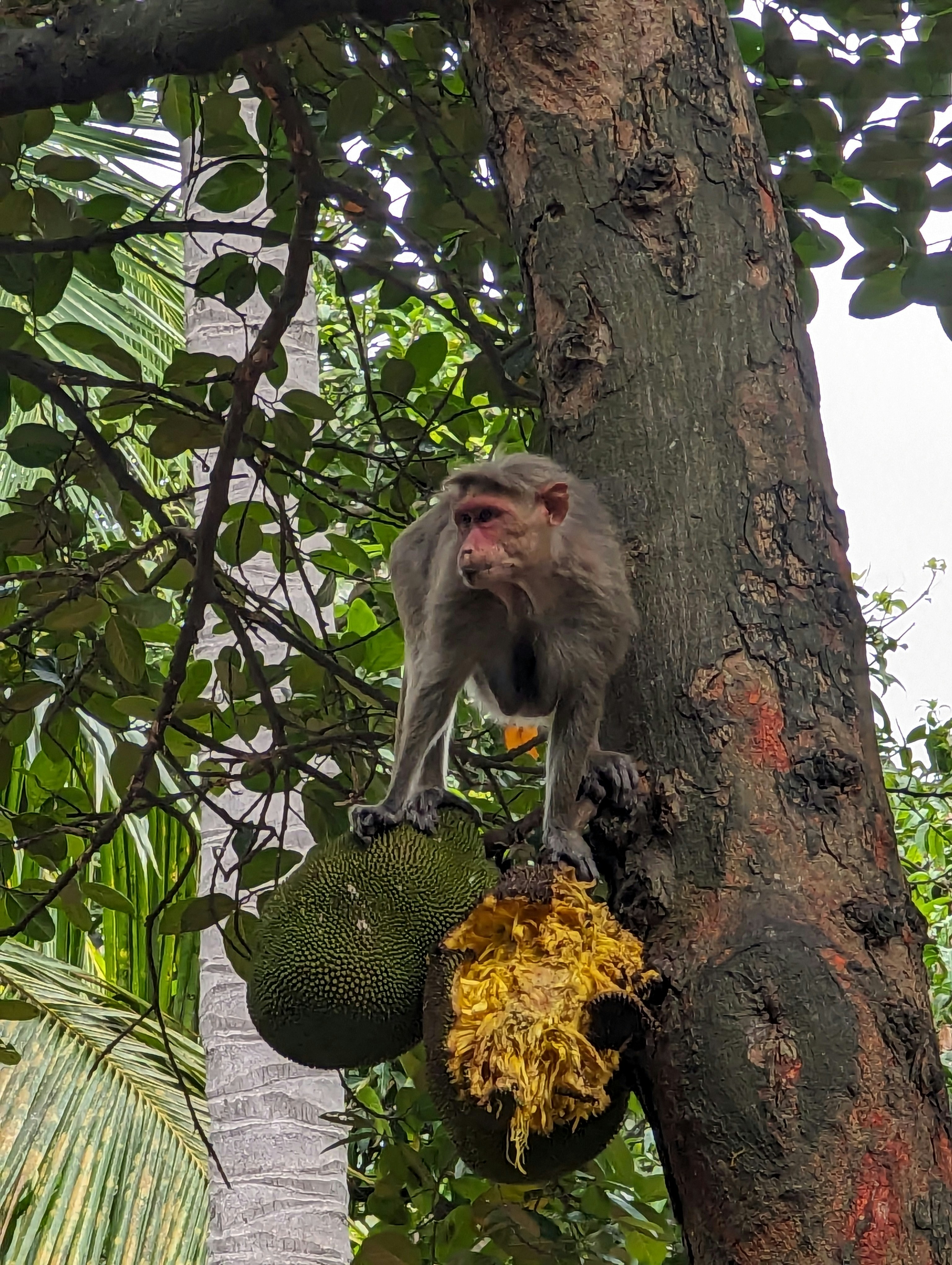 Photo by Betcy Thomas with Google Pixel 6 Pro