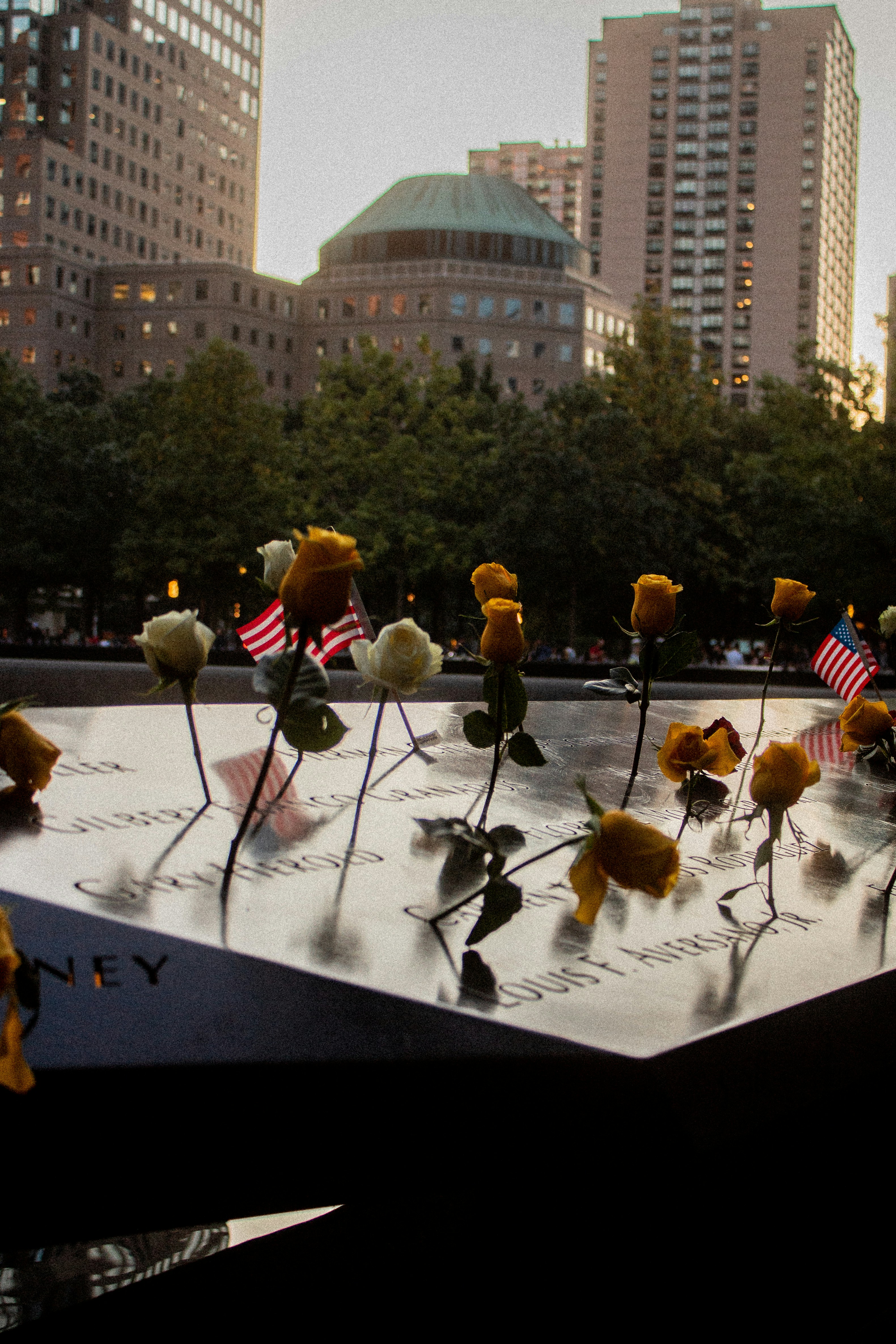 Hannah Kimberlee Fox (@hannahkimberleefox) | Unsplash Photo Community