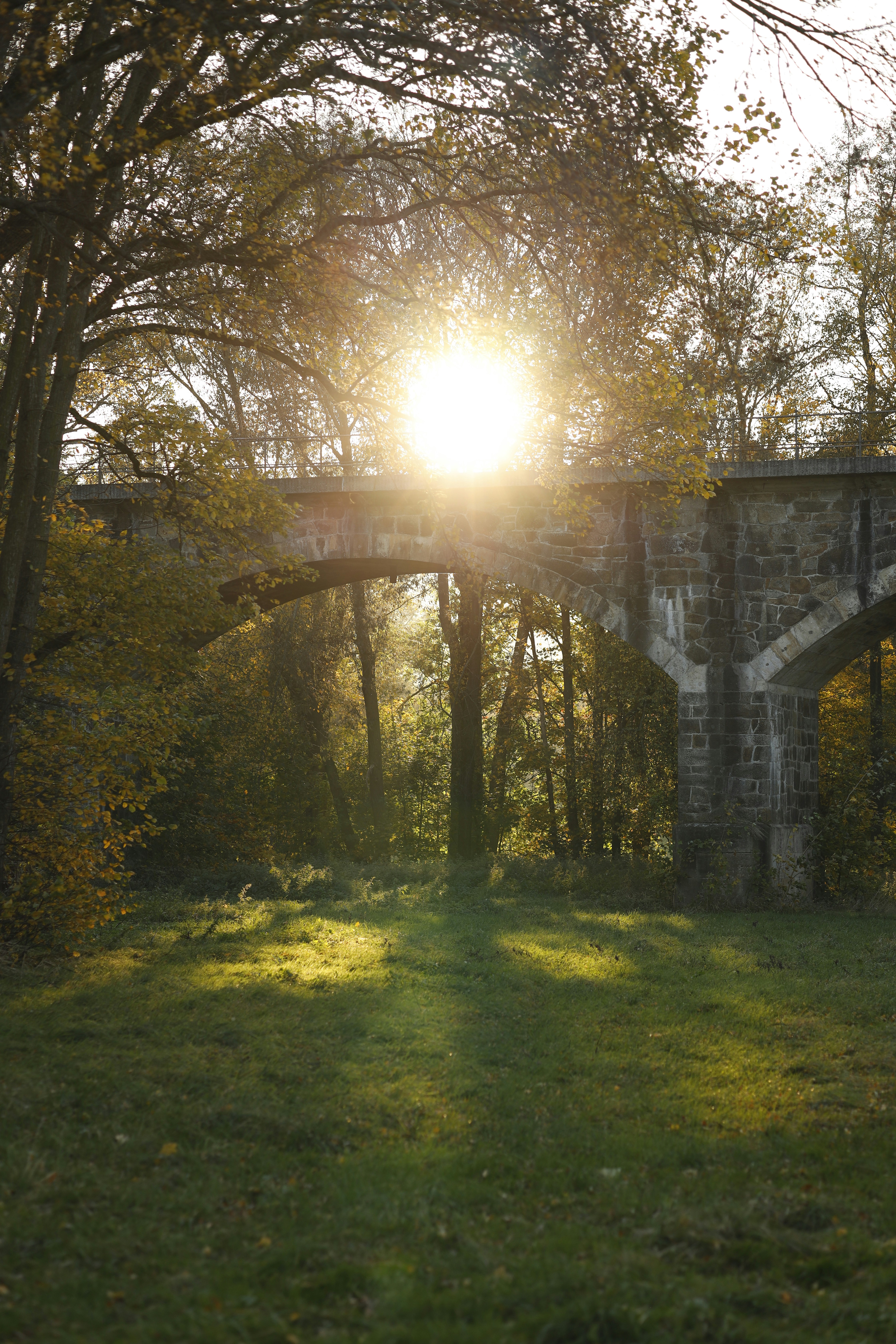 Sunburst Over the Stone Bridge: Autumn Light in the Park