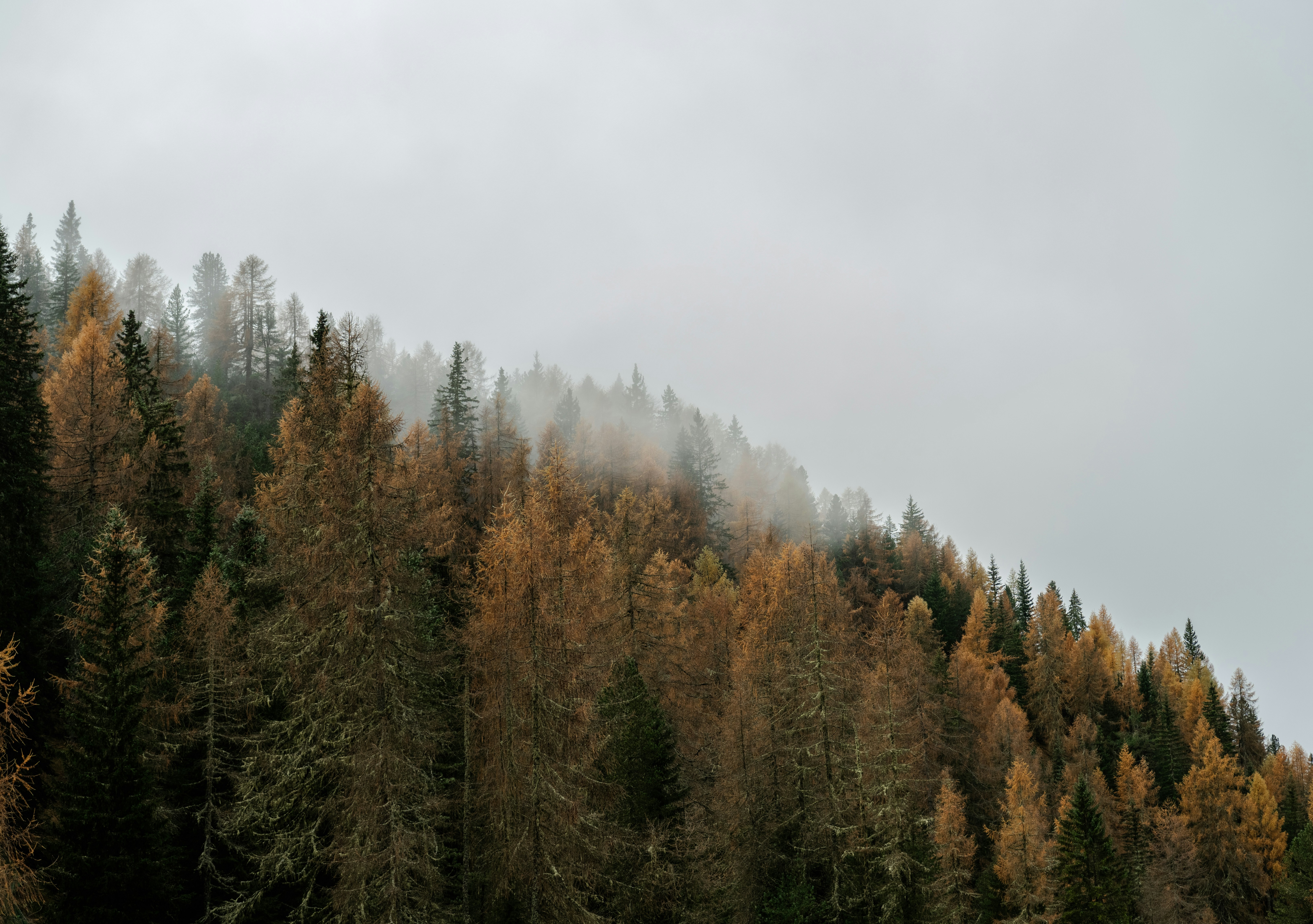 Photo by xandro Vandewalle with Sony Alpha 7 IV