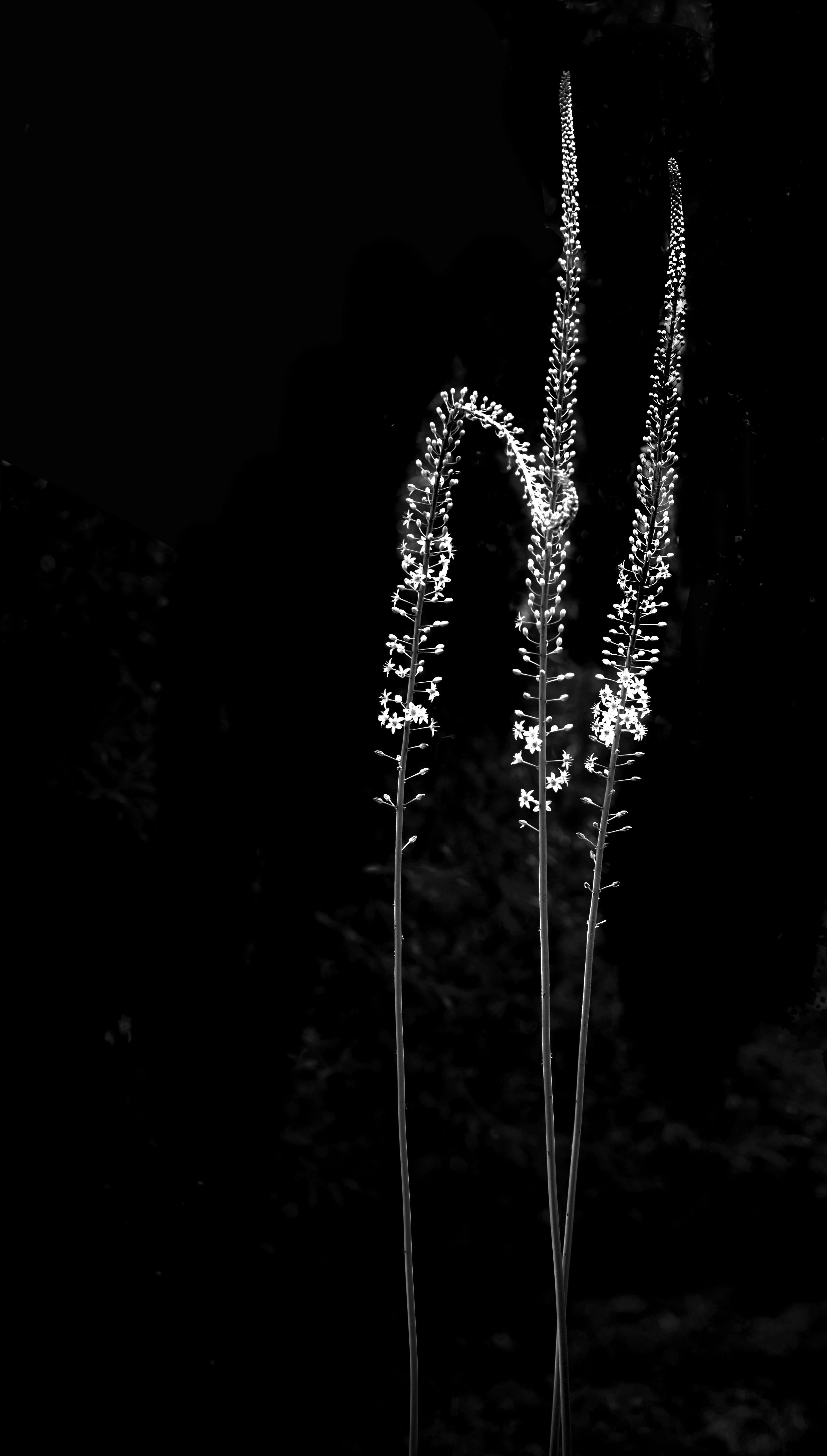 Photo by Gaby Fishman Fosbery with Canon EOS R