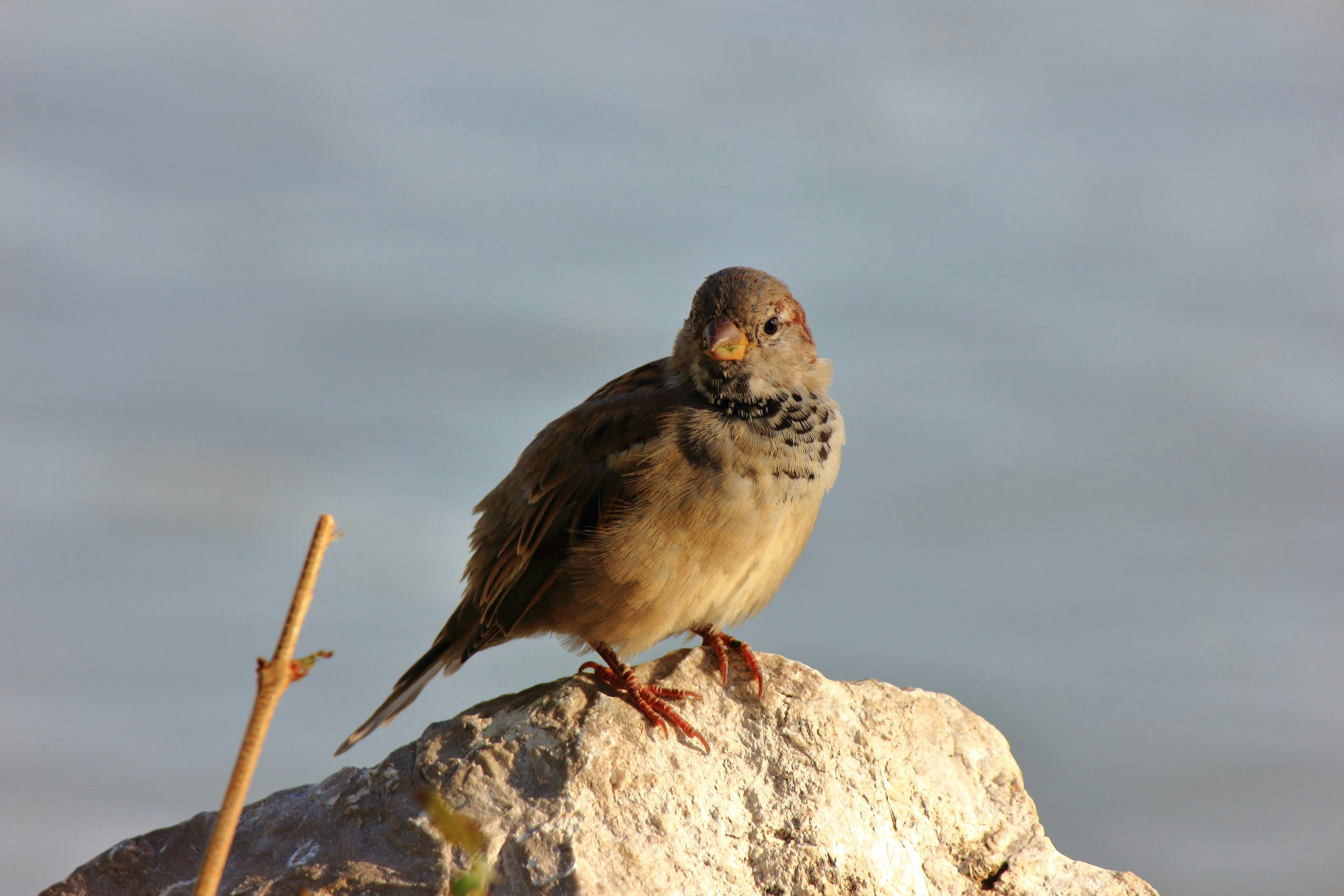 Photo by Cengiz Özarpat with Canon EOS 600D