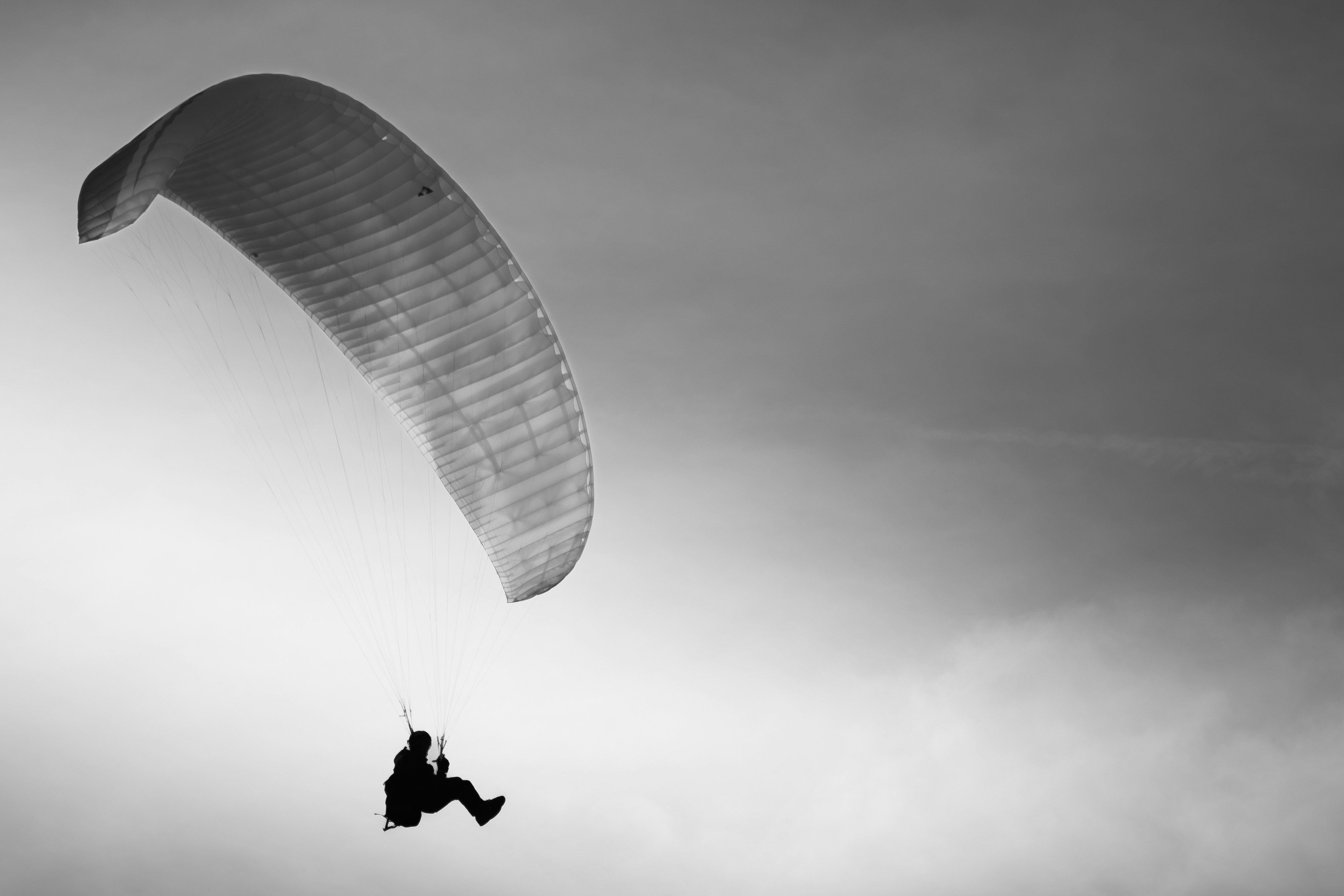 Monochrome Glide: A Lone Paraglider Slices the Sky