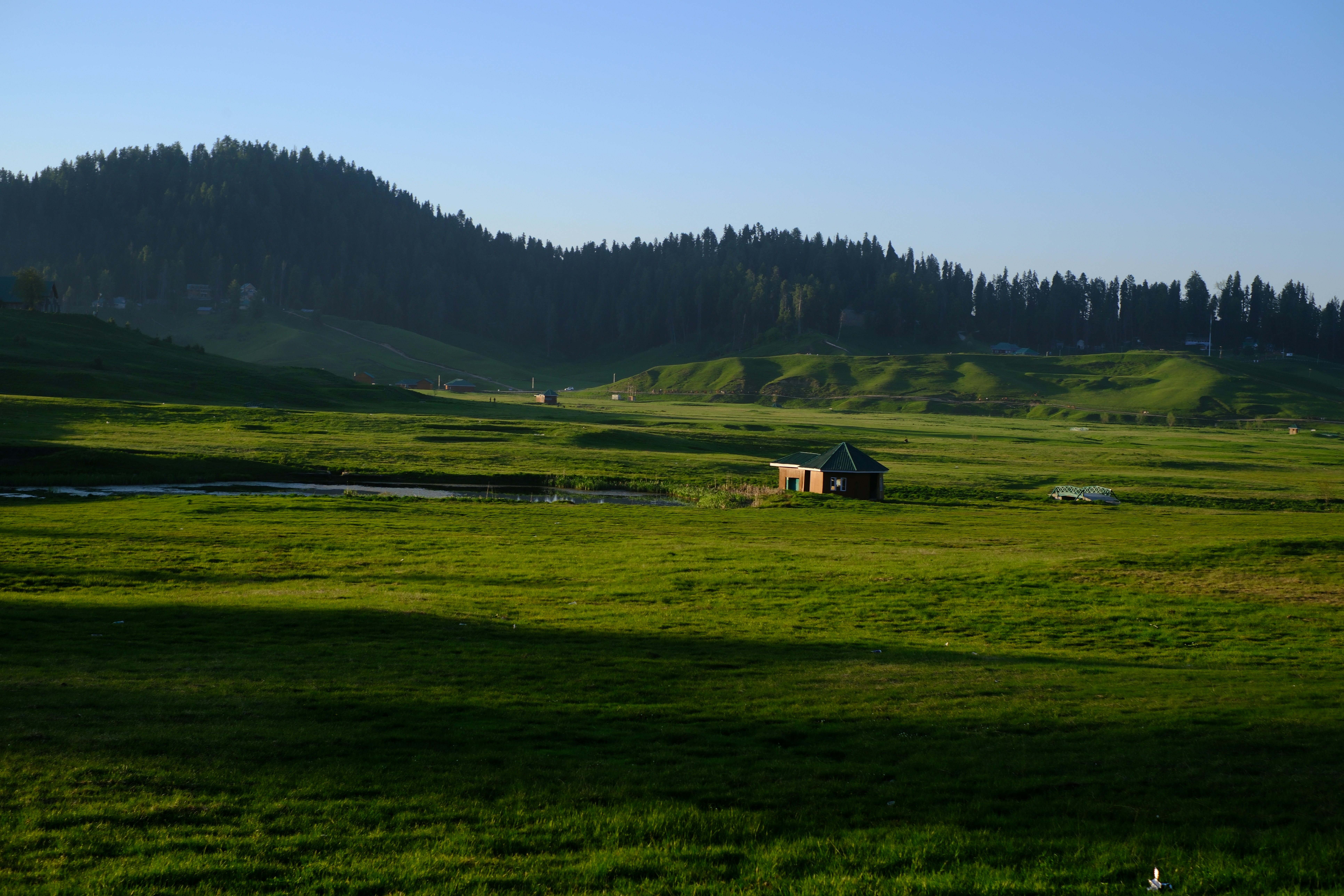 Solitary Cabin on an Emerald Plain Under a Tree-Lined Horizon