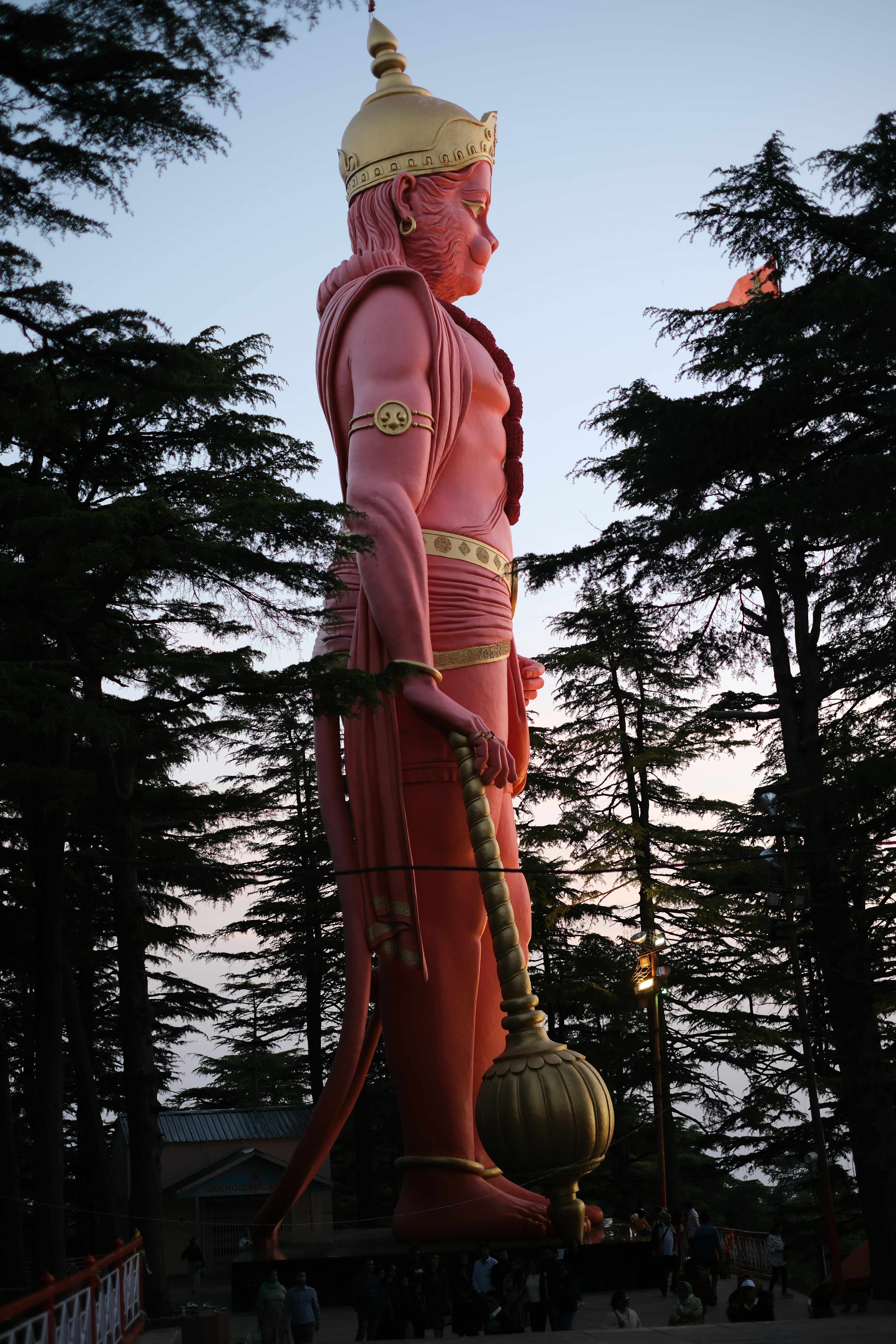 Crimson Colossus Among Pines at Dusk